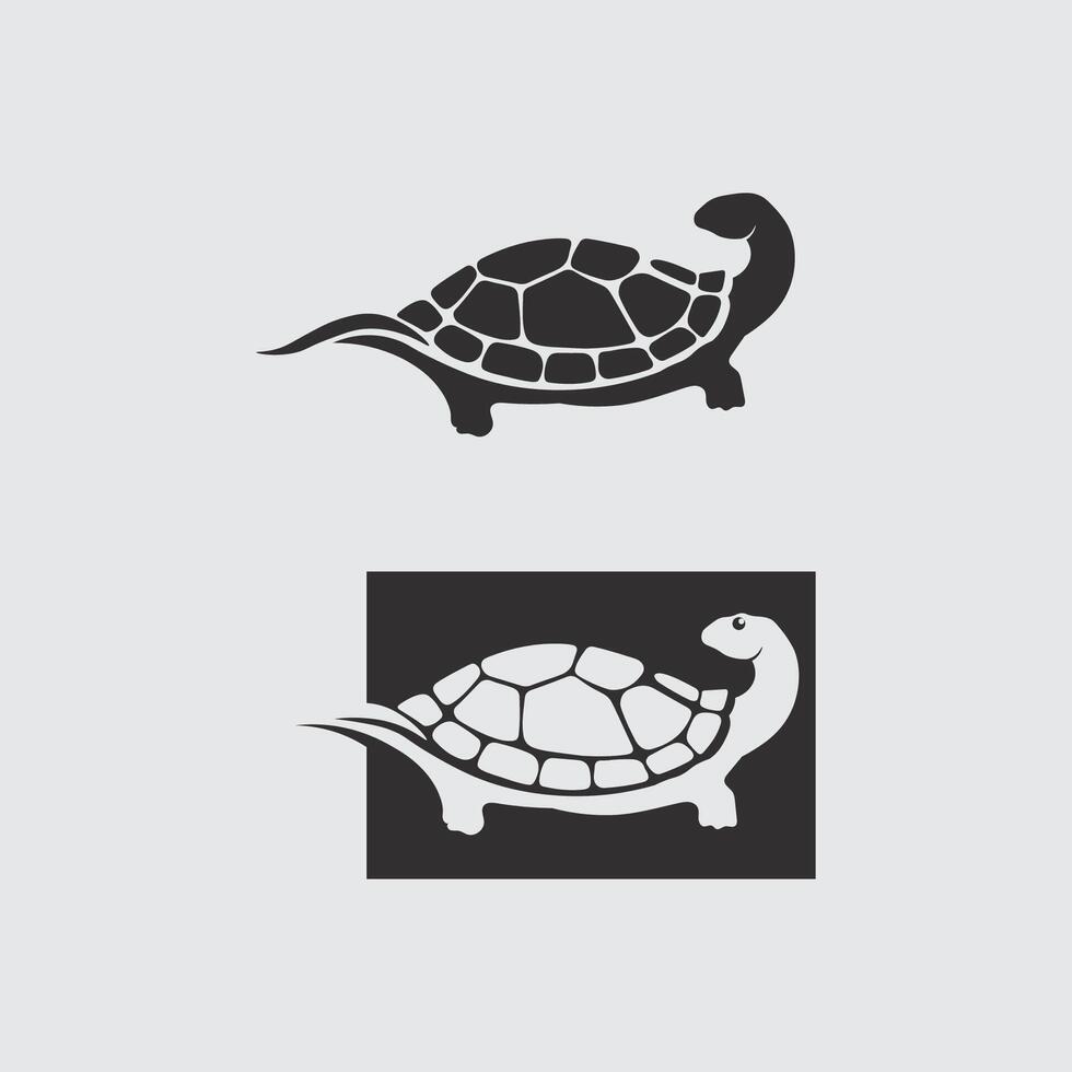 Turtle animal cartoon icon 43181650 Vector Art at Vecteezy