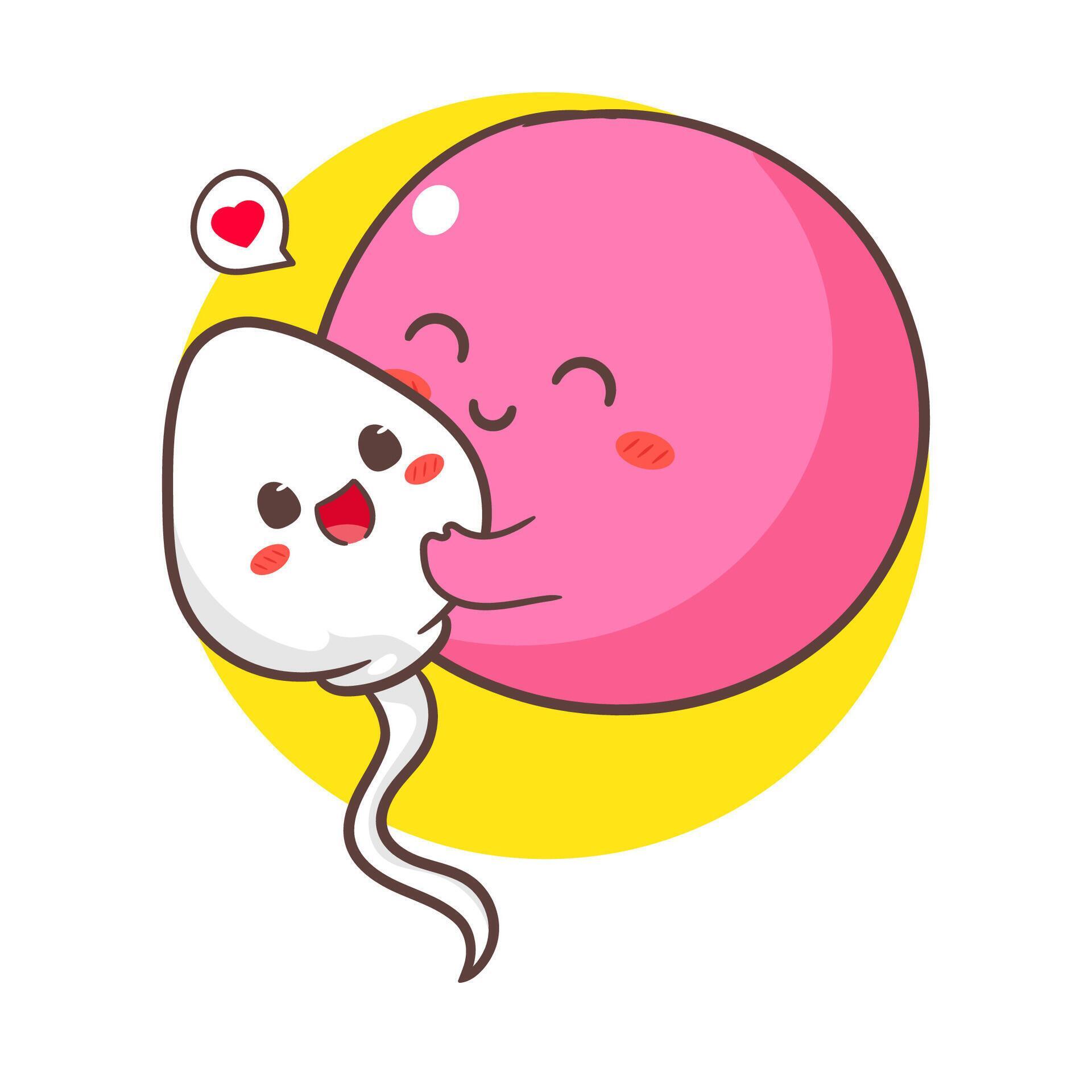 Cute Sperm And Egg Cell Cartoon Character Health Concept Design Art Illustration 43268559