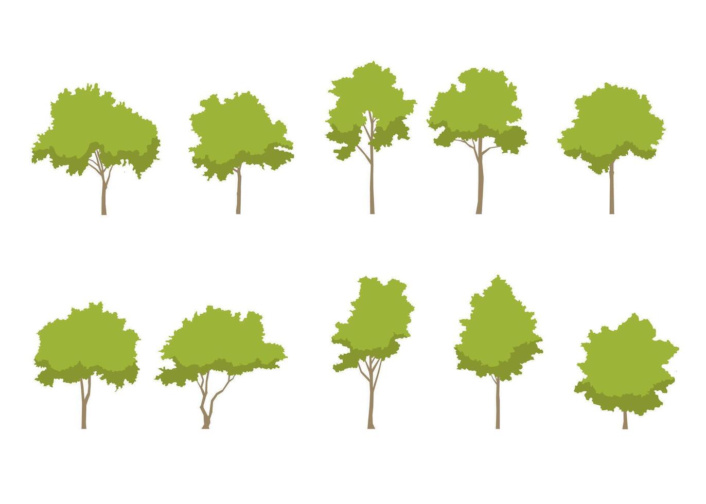 Tree Line Drawing Side View Graphics Trees Elements Single Object Outline Minimal Plant 43268573