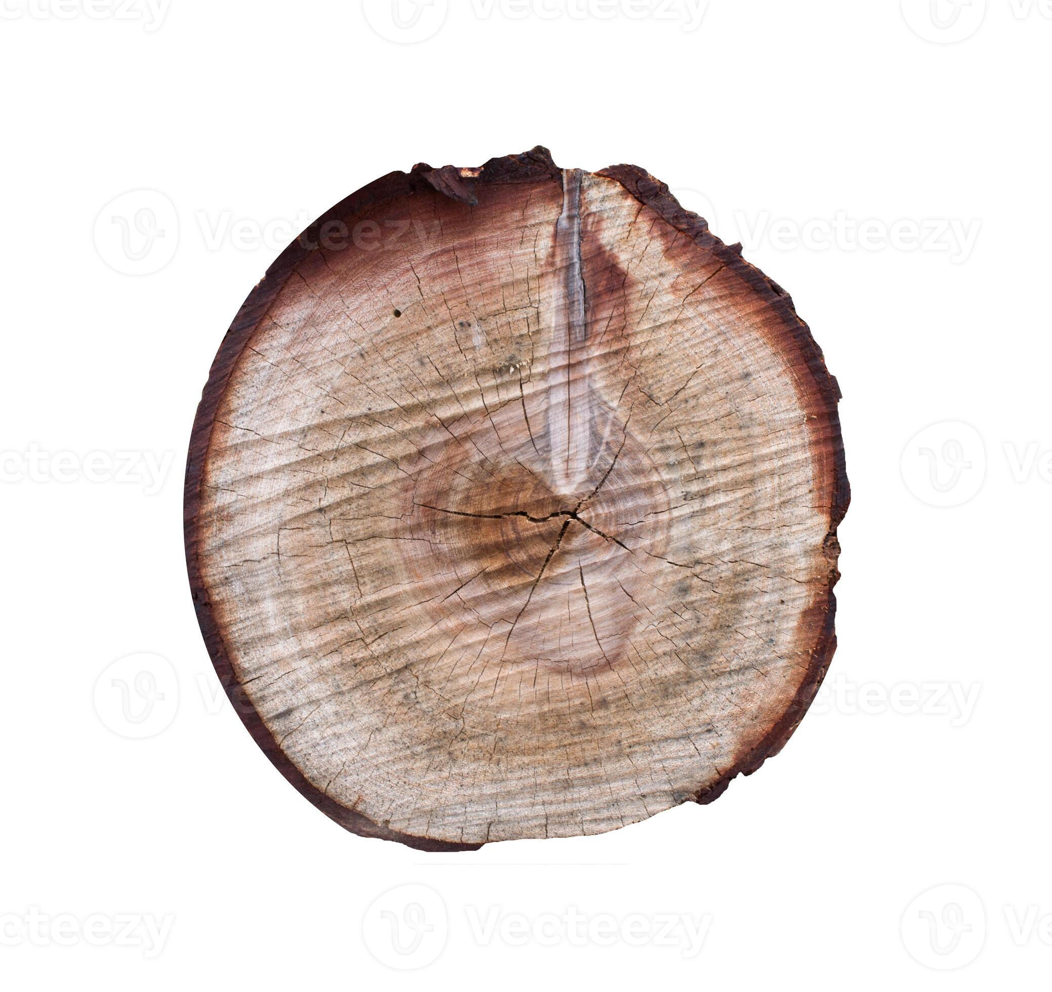 Round cut down tree with annual rings as a wood texture. 43276288 Stock Photo at Vecteezy