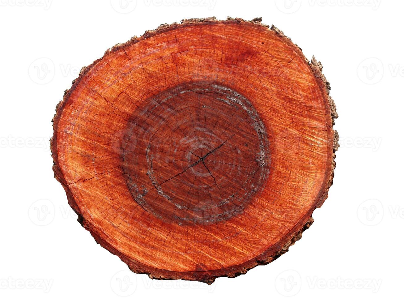 Round cut down tree with annual rings as a wood texture. 43284215 Stock Photo at Vecteezy