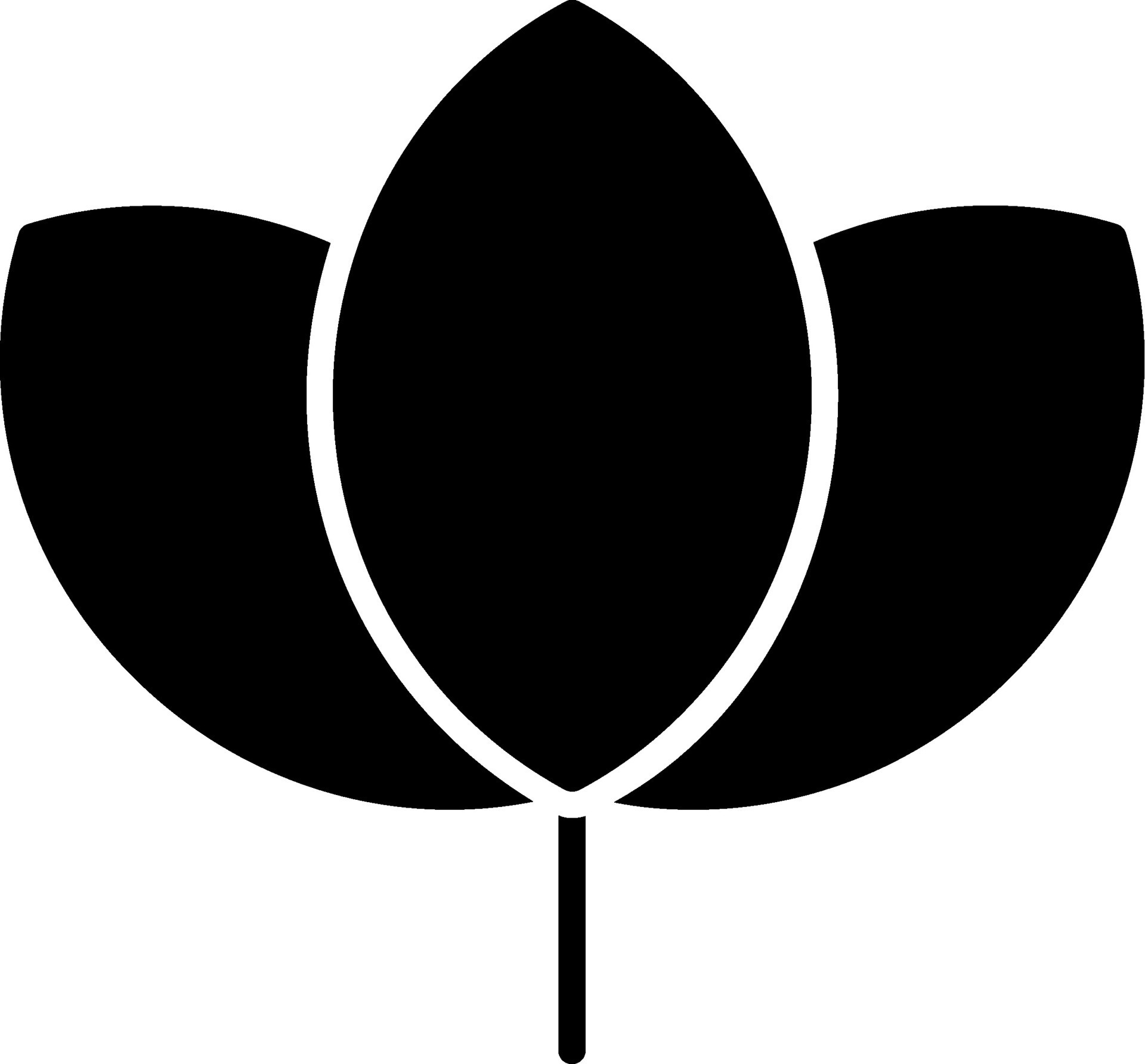Leaf Glyph Icon 43320181 Vector Art At Vecteezy