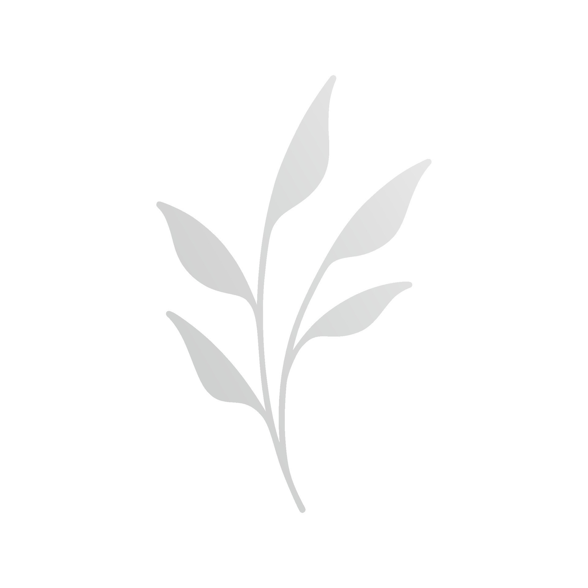 White Grass Stem Foliage Tree Branch Elegant Decorative Element For Composition 3d Icon 43326942