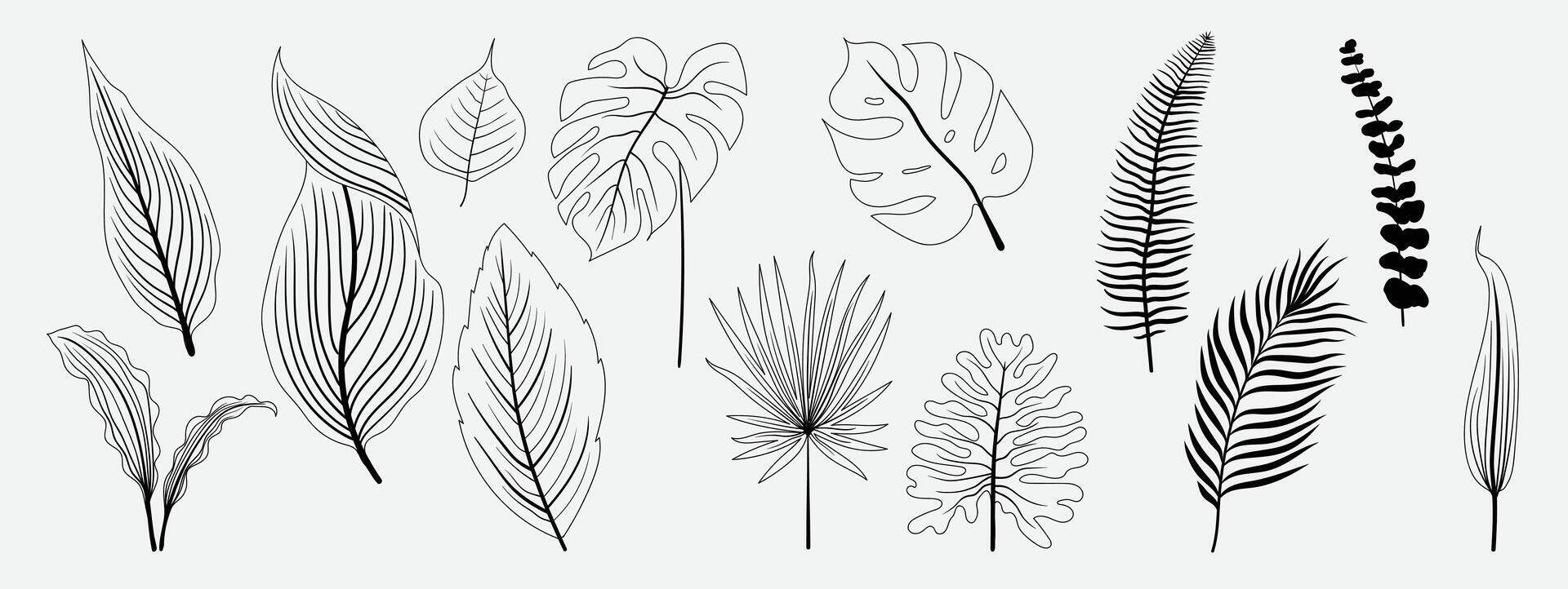 Tropical leaves hand drawn line art and silhouette set. Collection of leaf branch, monstera ...