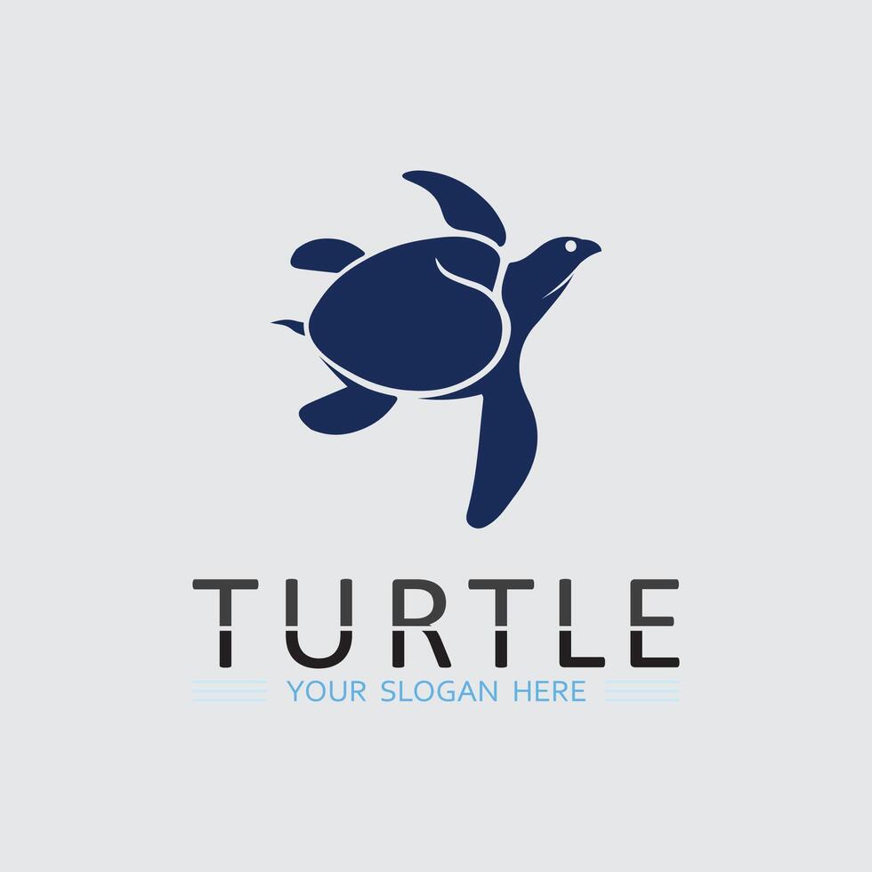 Turtle animal cartoon icon 43404087 Vector Art at Vecteezy