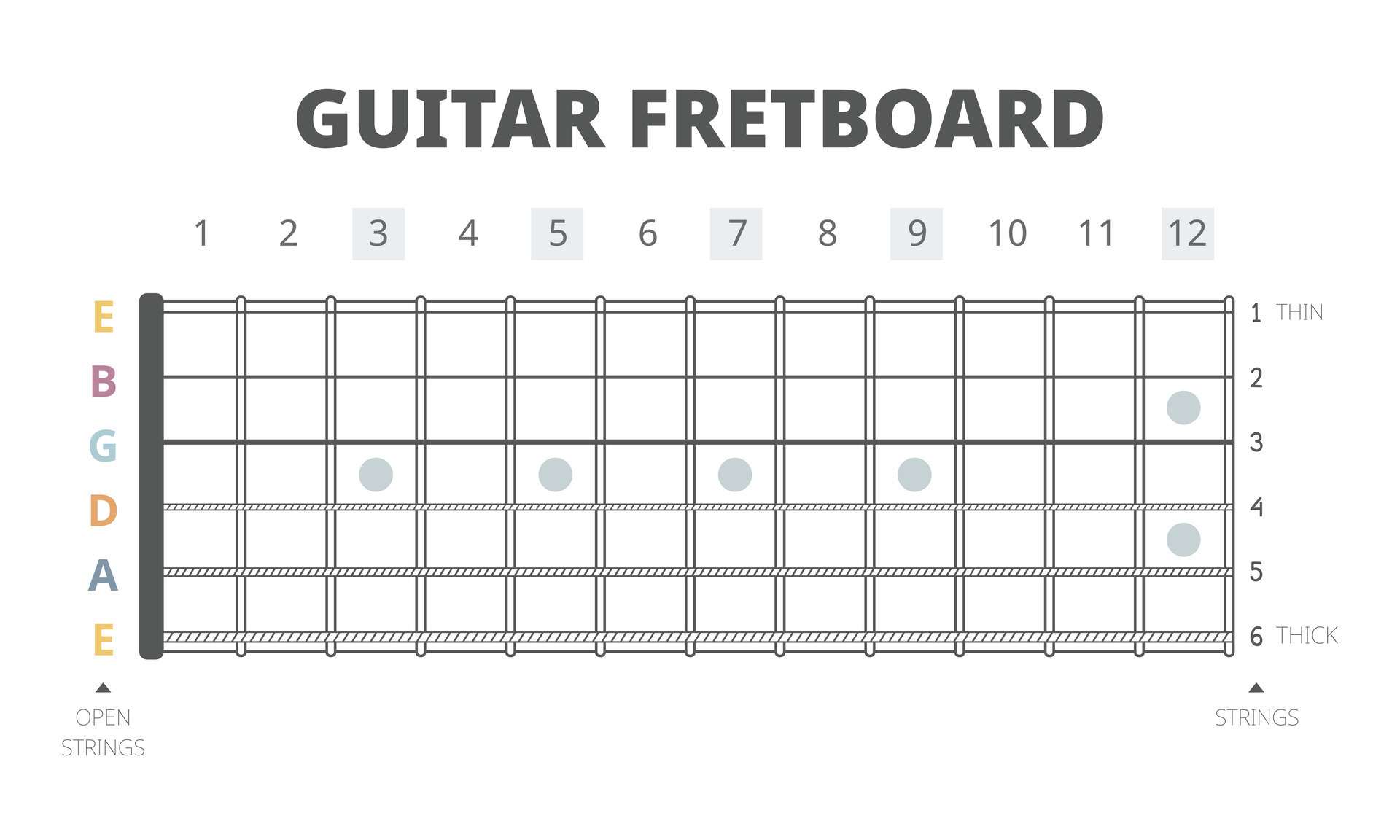 Guitar fretboard chart illustration. Guitar neck map with frets and six ...