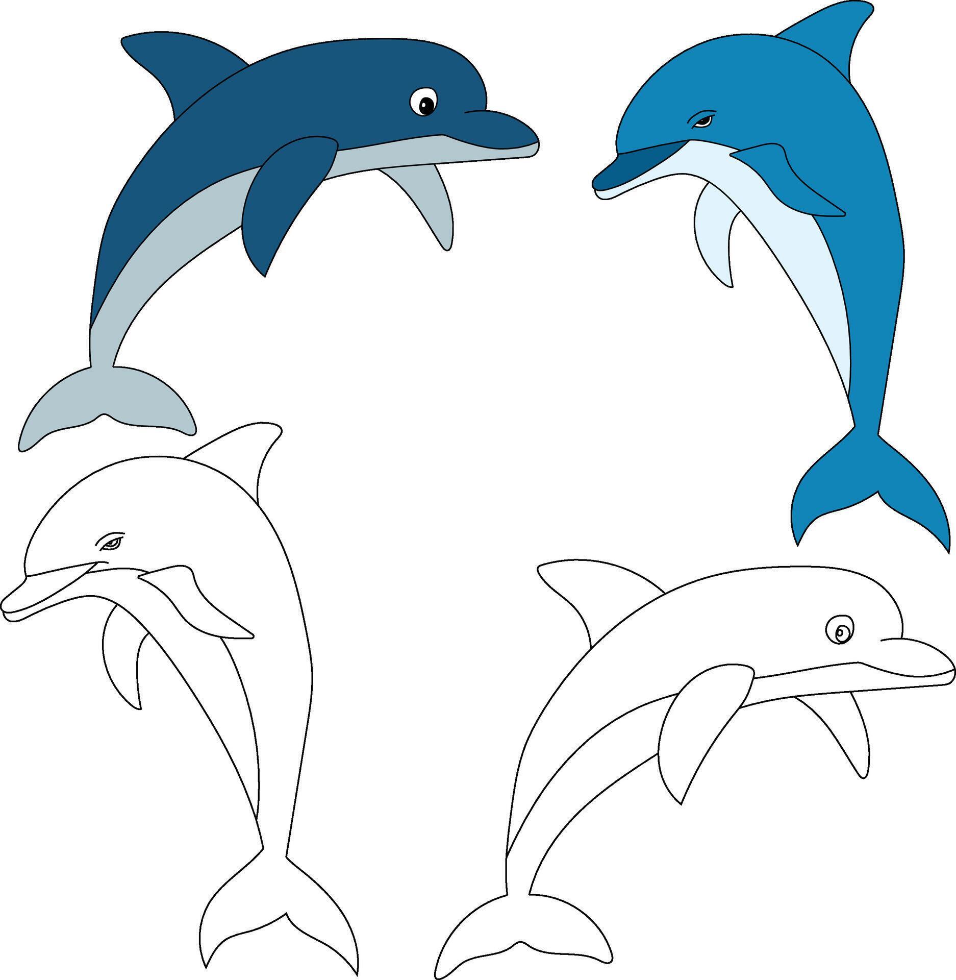 Dolphin Clipart. Aquatic Animal Clipart for Lovers of Underwater Sea ...