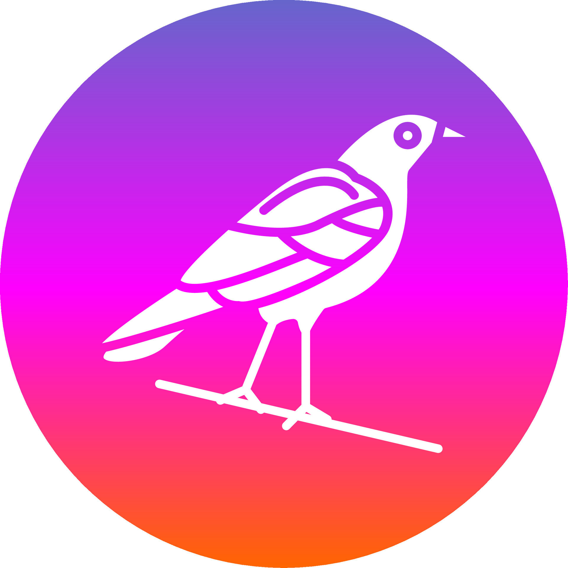Crow Glyph Gradient Circle Icon Design 43568832 Vector Art at Vecteezy Crow Glyph Gradient Circle Icon Design 43568832 Vector Art at Vecteezy