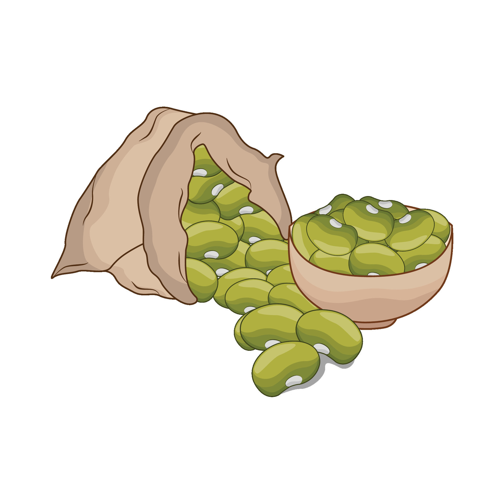 Illustration Of Mung Beans 43576504 Vector Art At Vecteezy