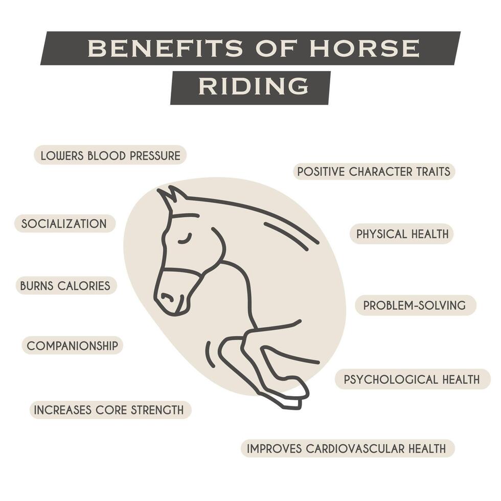 Benefits of horse riding square banner. Equestrian infographic poster ...
