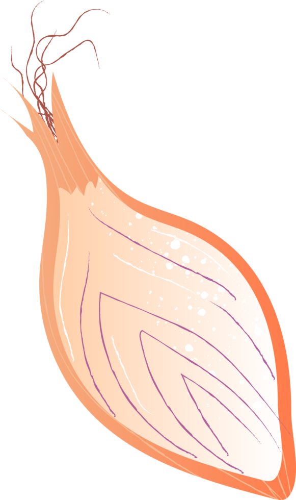 Piece Shallot Organic Fresh Vegetables 43729207 Png