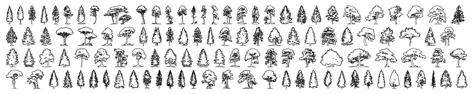 Minimal style cad tree line drawing, Side view, set of graphics trees elements outline symbol ...