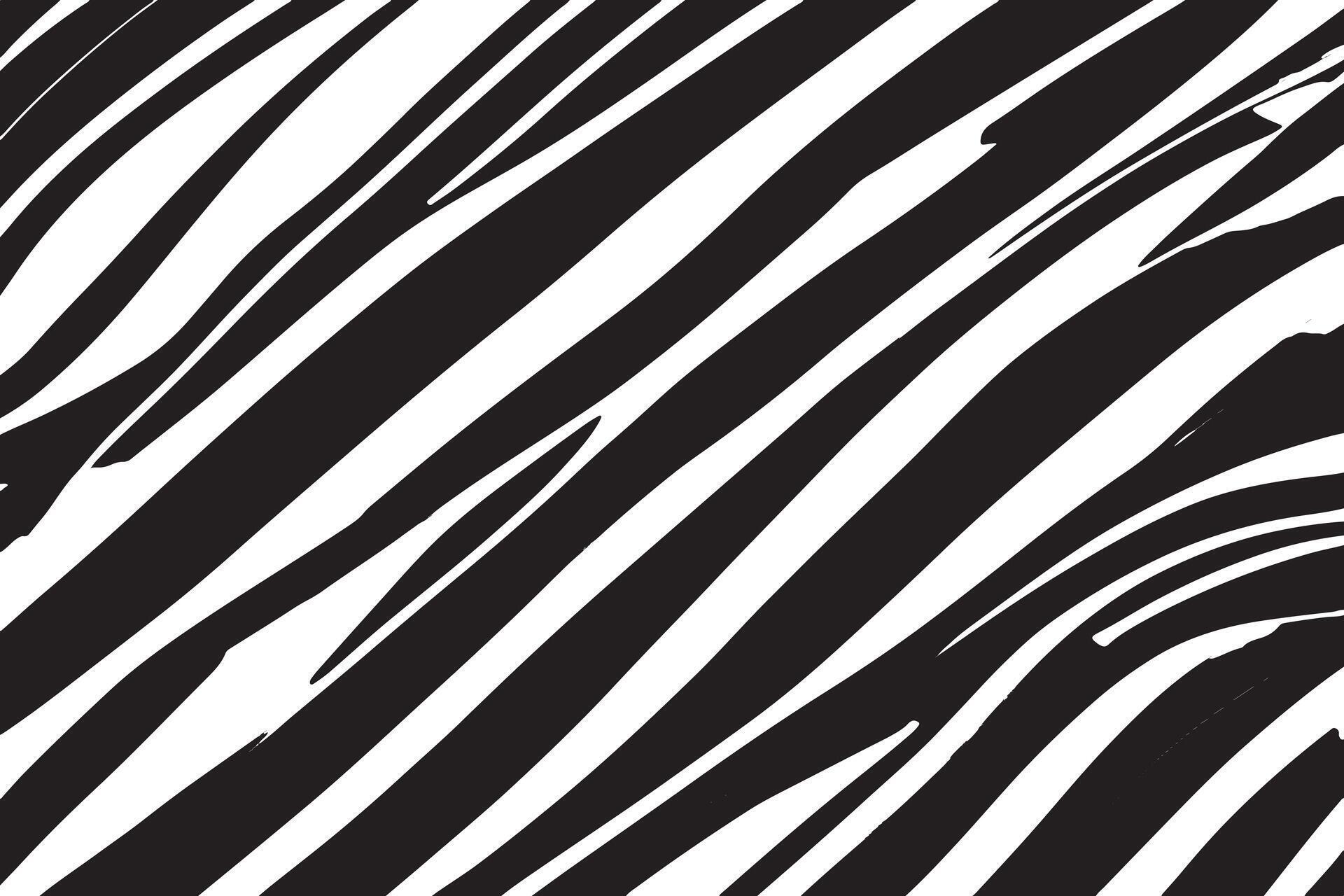 High-Resolution Black and White Zebra Stripe Pattern Illustration ...