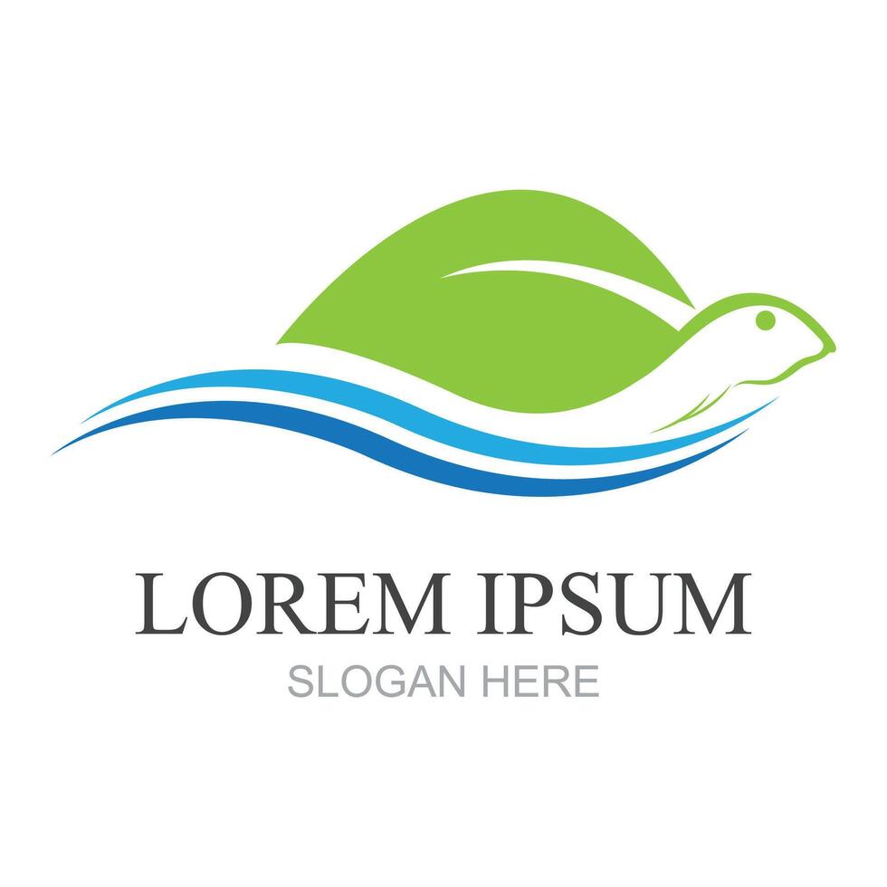 Turtle animal cartoon icon 43885449 Vector Art at Vecteezy