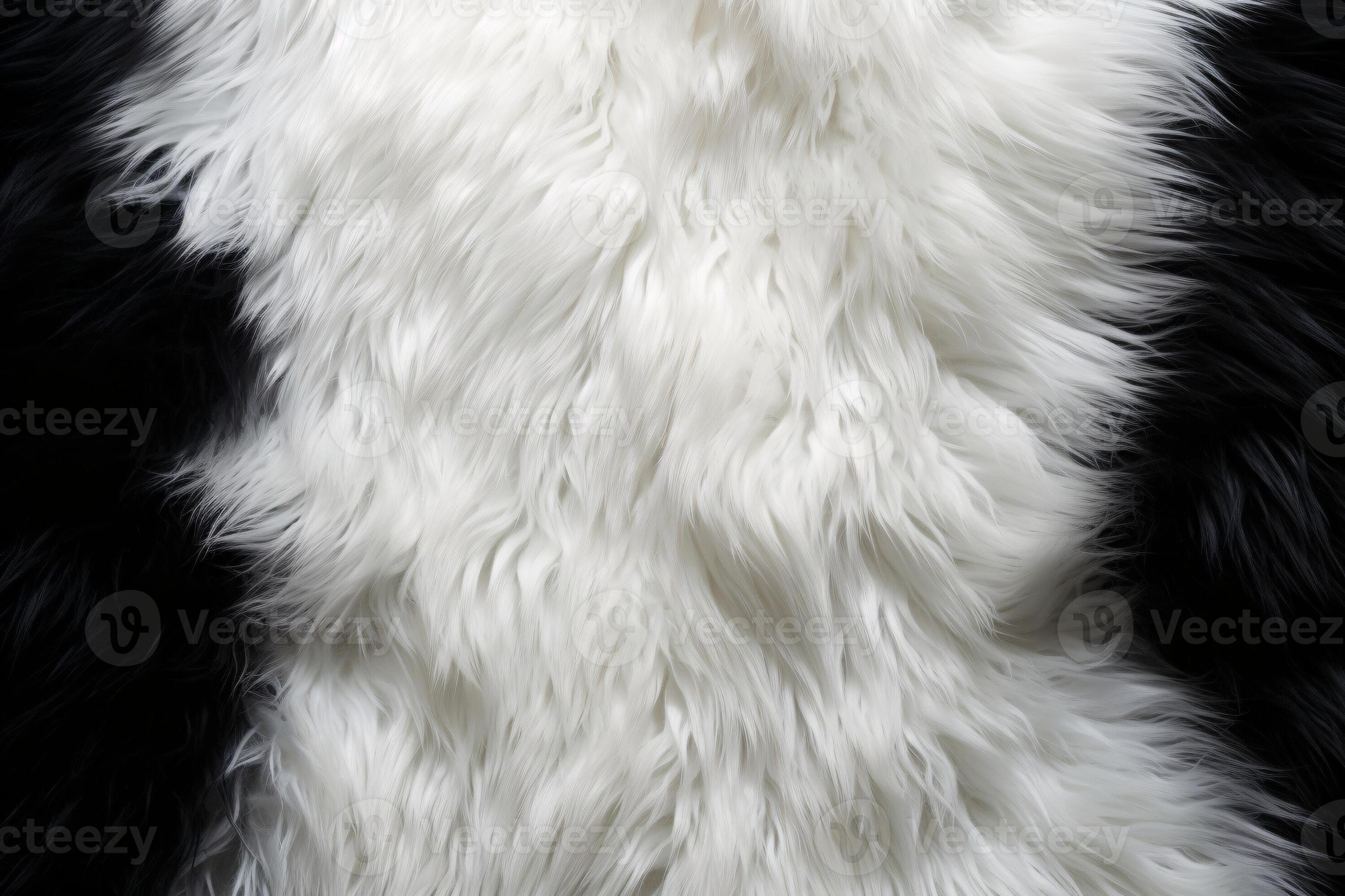 Panda Skin Fur Texture, Panda Fur Background, Fluffy Panda Skin Fur ...