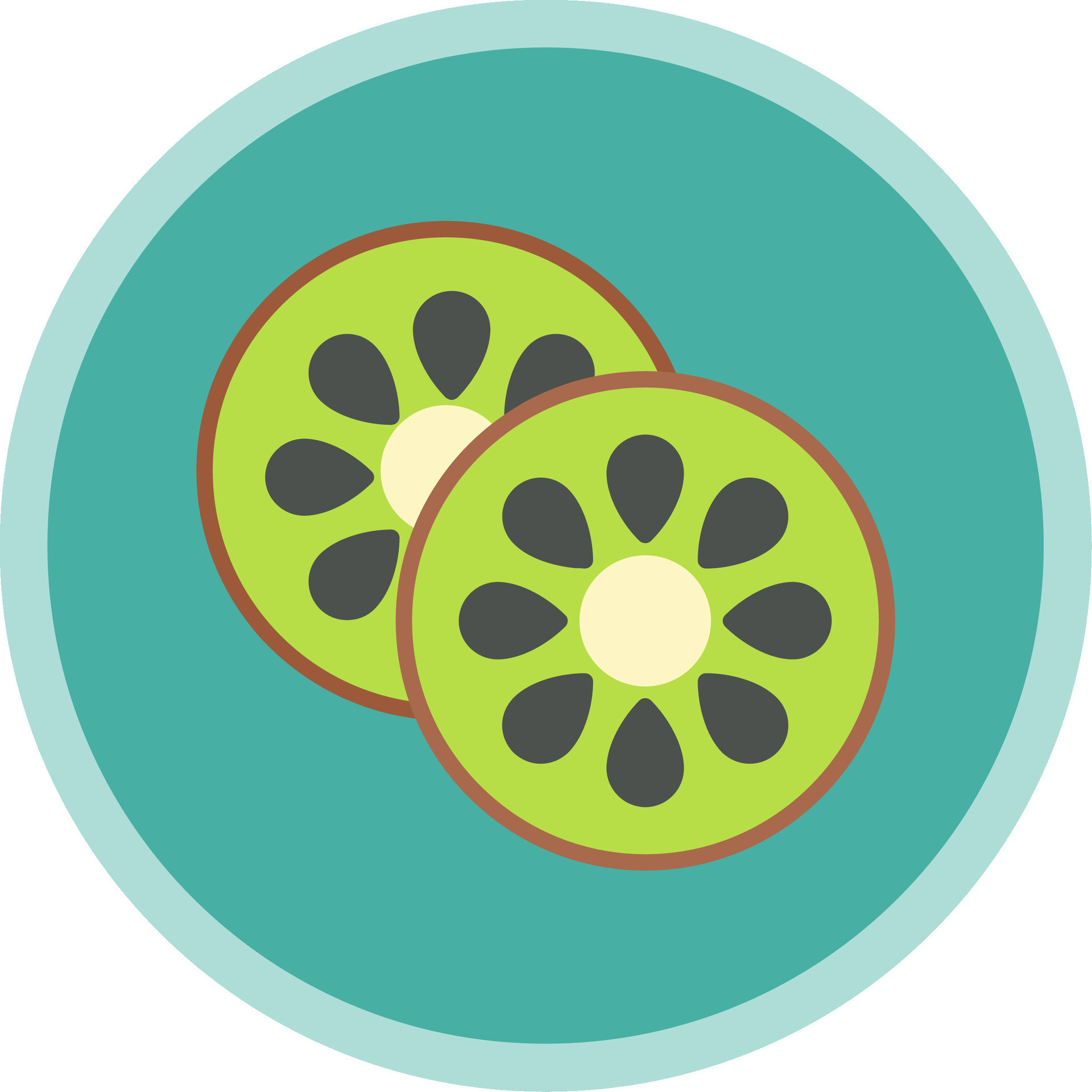 Kiwi Flat Multi Circle Icon 44145289 Vector Art at Vecteezy