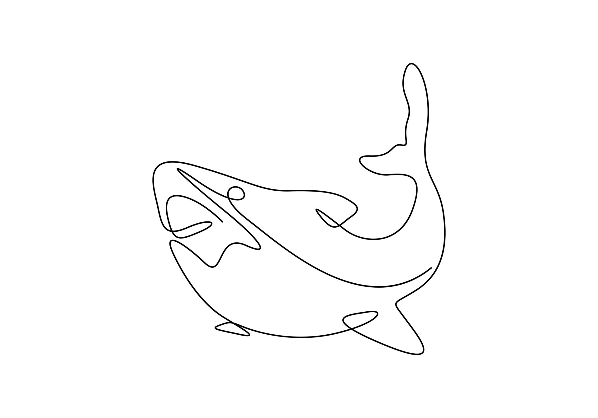 Shark fish in one continuous line drawing digital illustration 44167901 ...