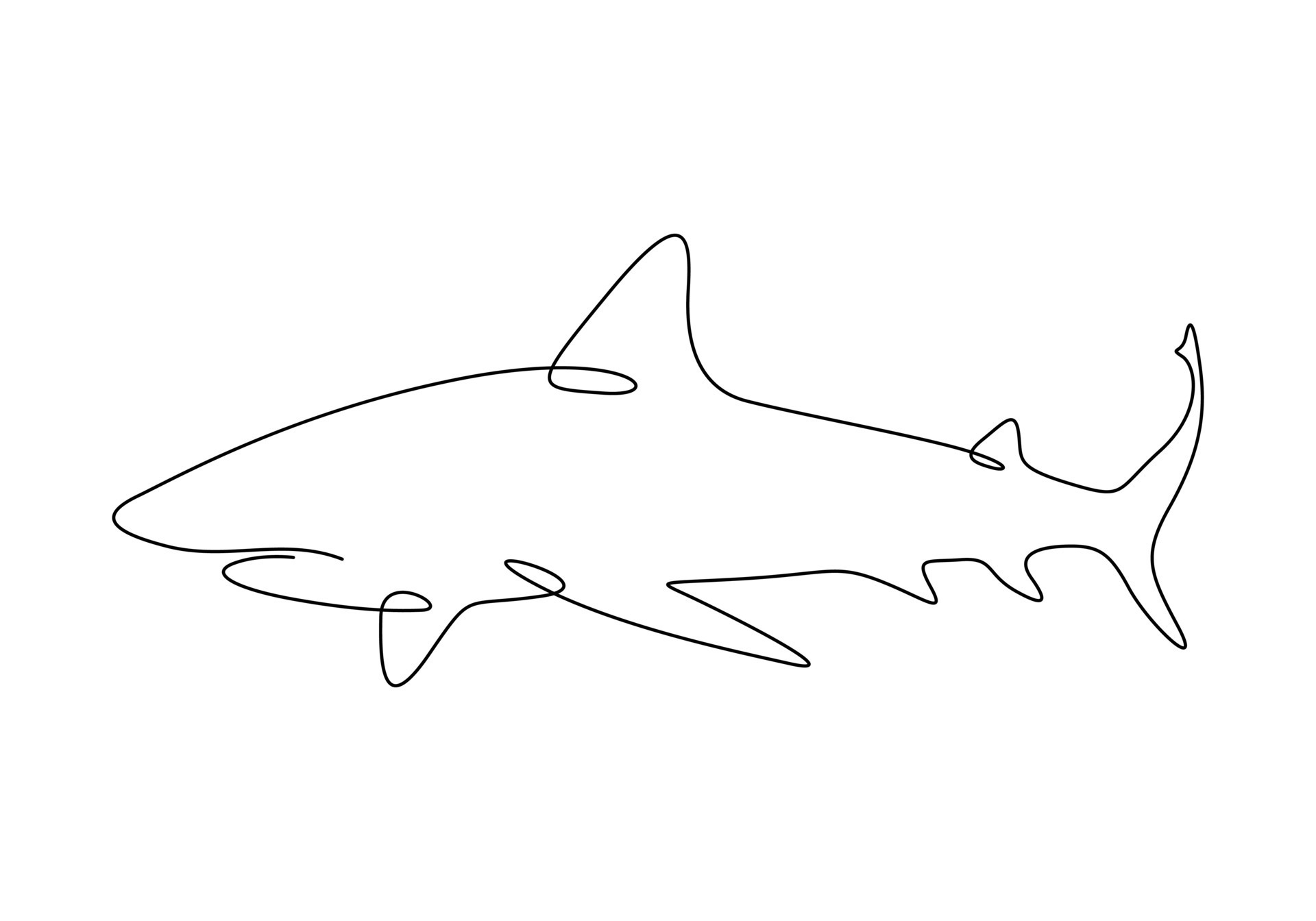 Shark fish in one continuous line drawing digital illustration 44167913 ...
