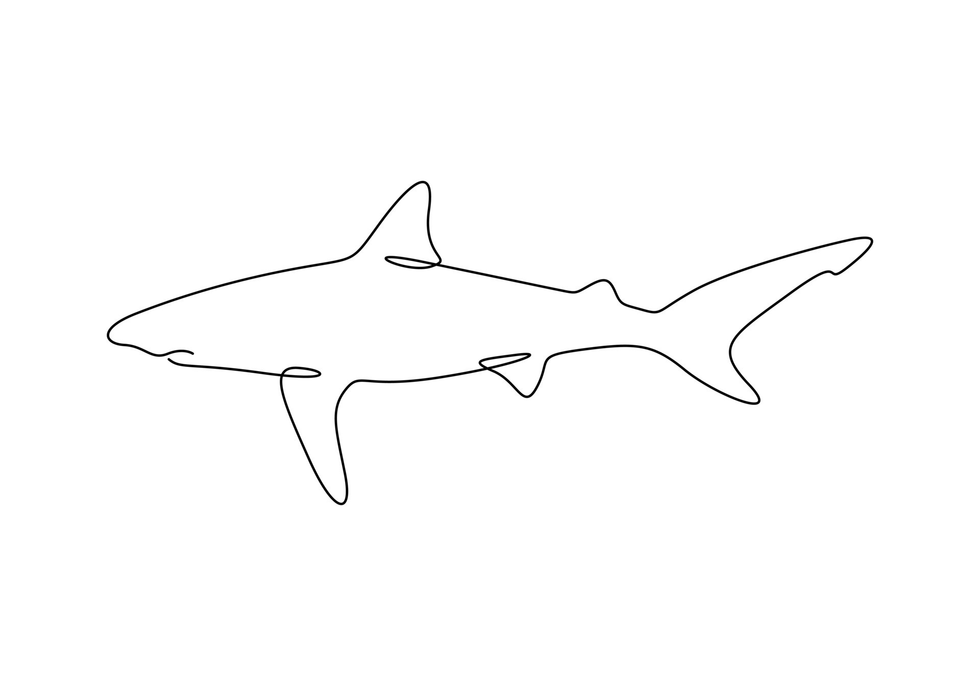 Shark fish in one continuous line drawing digital illustration 44167920 ...