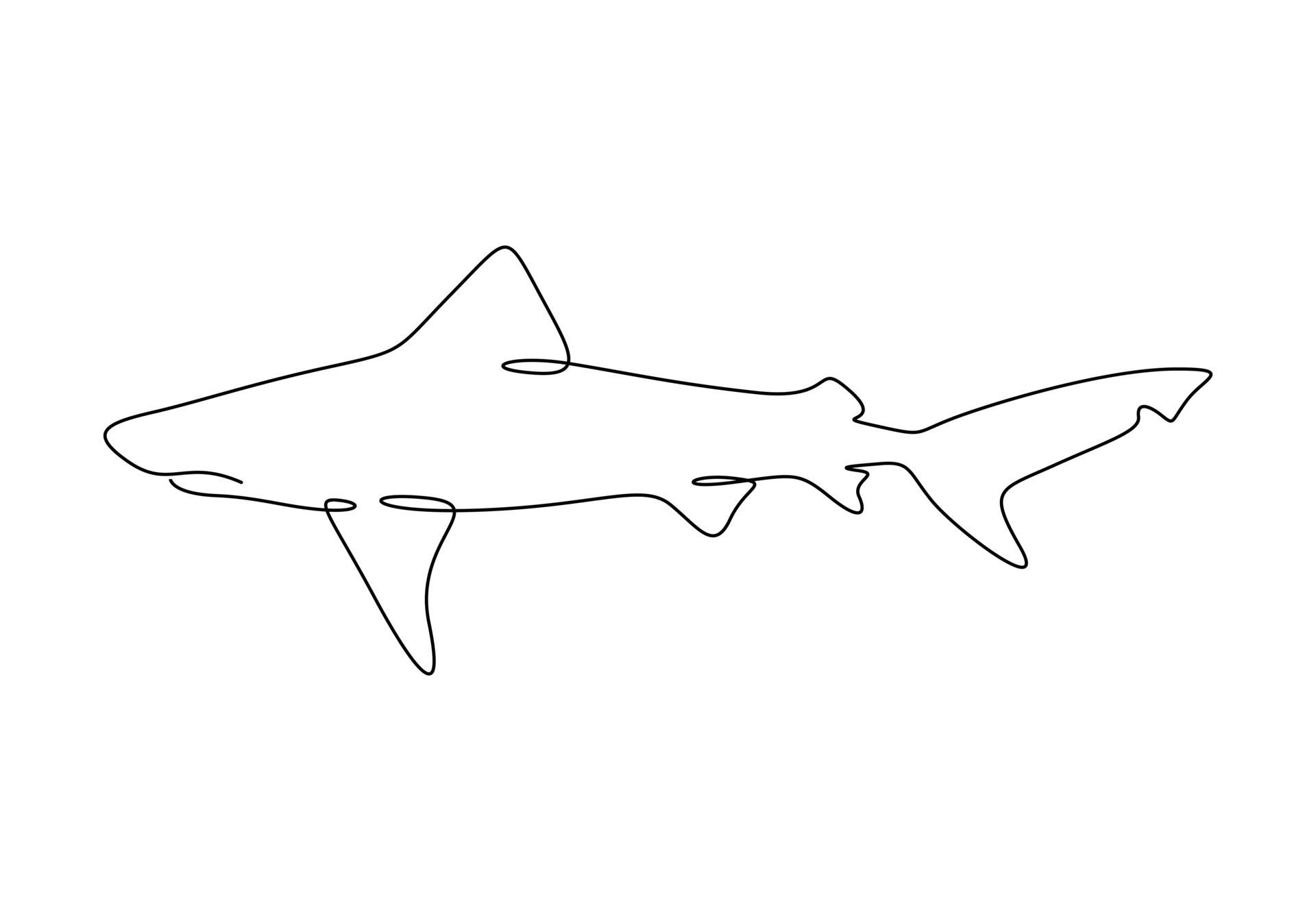 Shark fish in one continuous line drawing digital illustration 44167927 ...