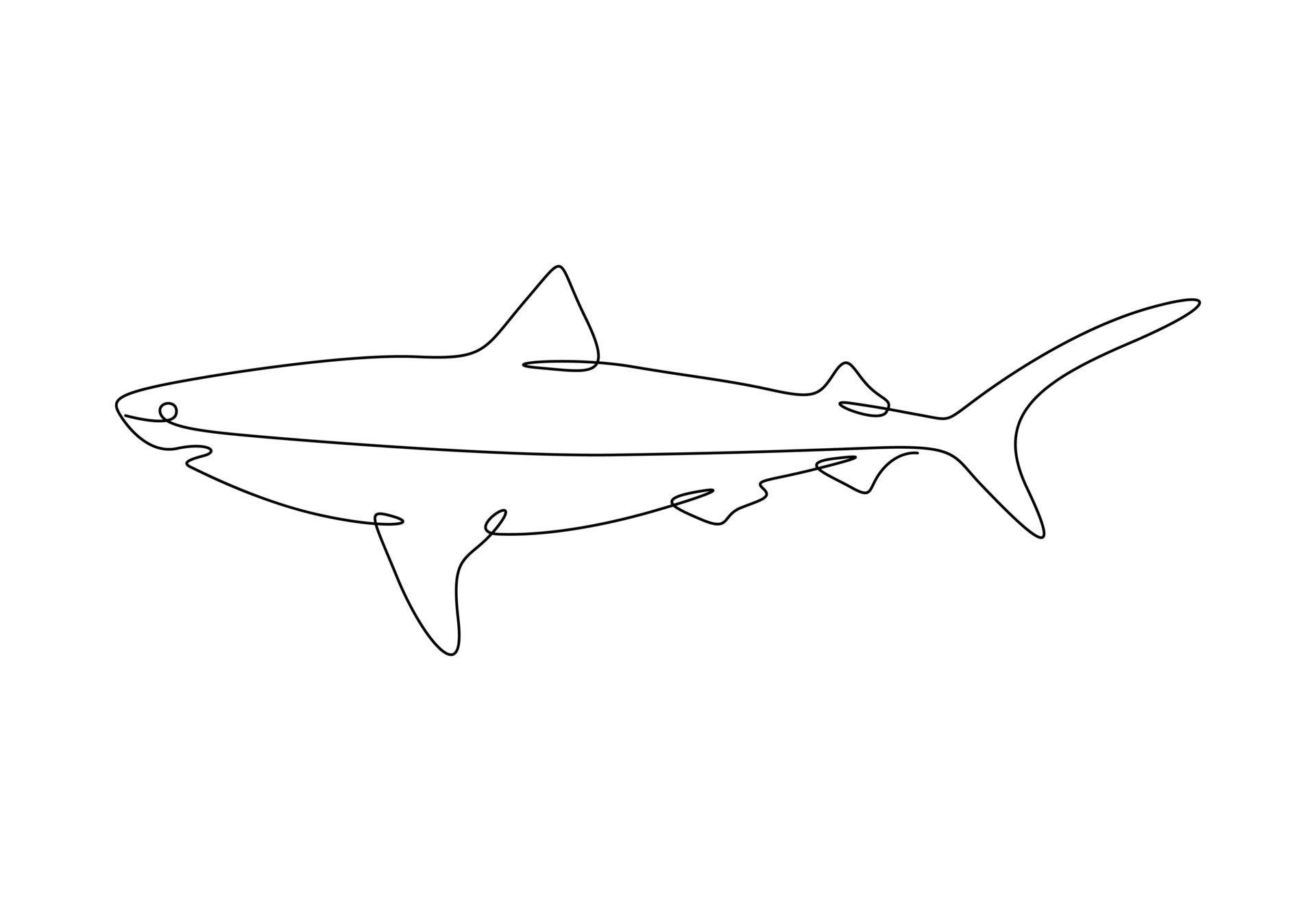 Shark fish in one continuous line drawing digital illustration 44167938 ...