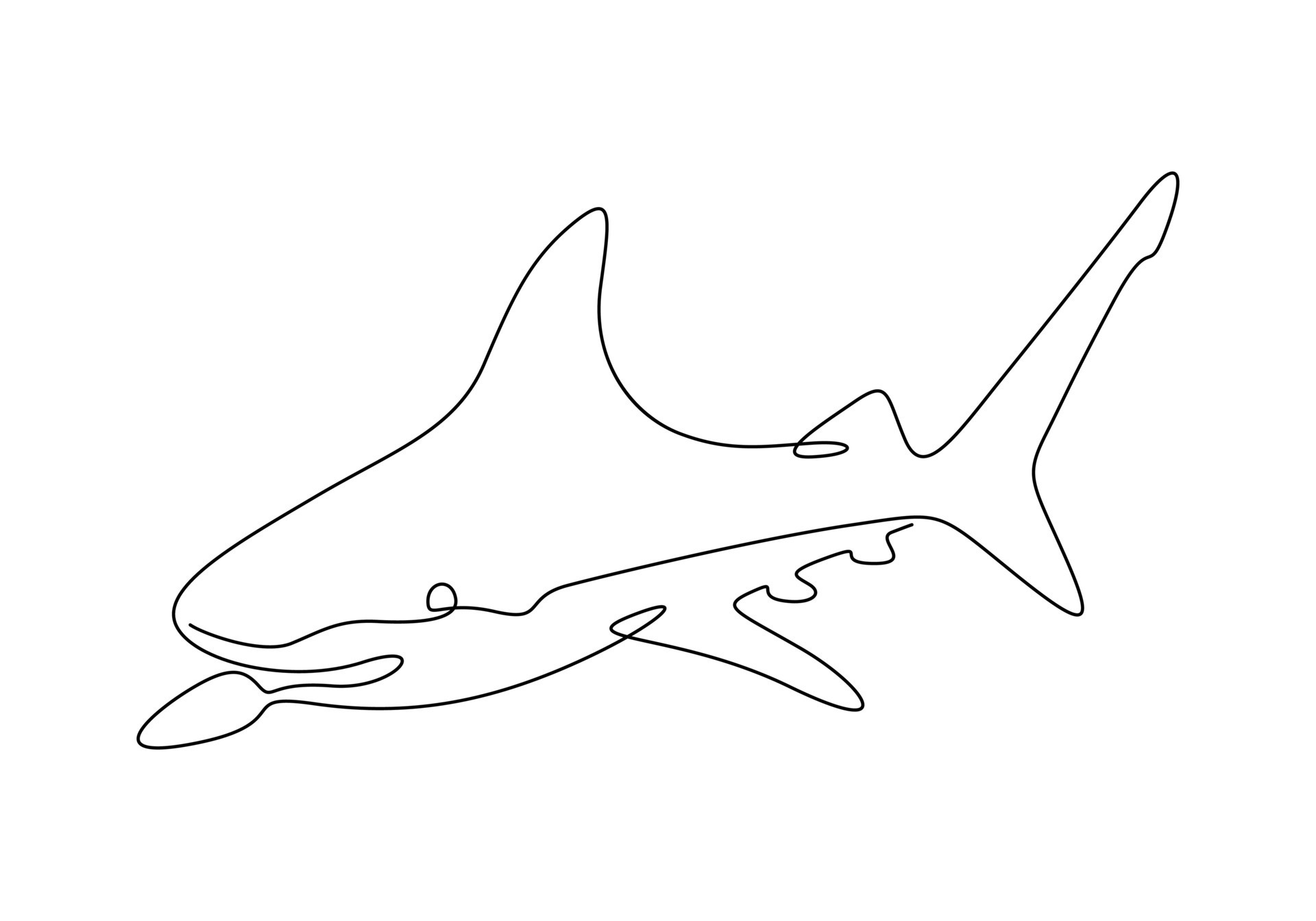 Shark fish in one continuous line drawing digital illustration 44167940 ...