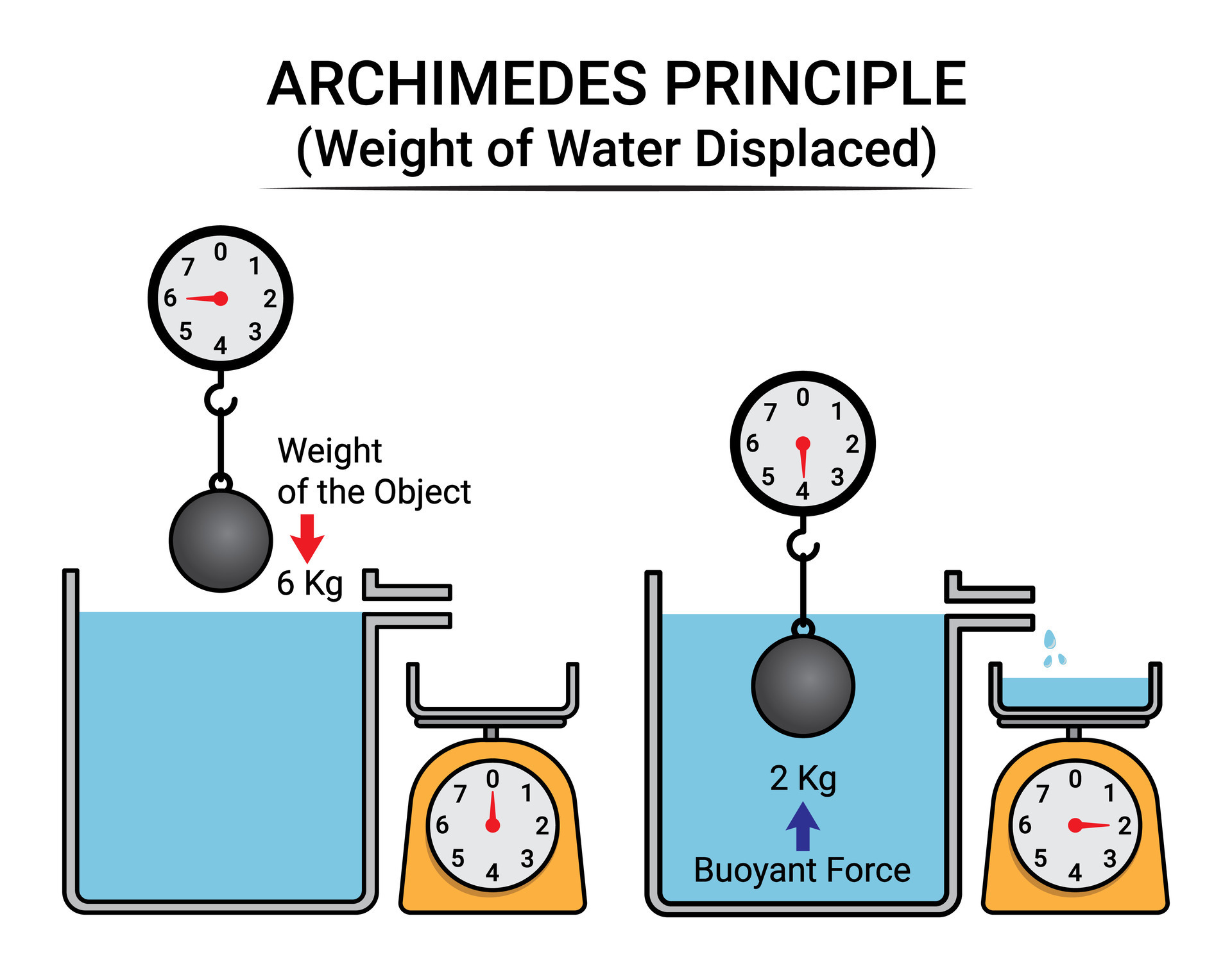 Archimedes Principle Weight of Water Displaced 44253728 Vector Art at Vecteezy