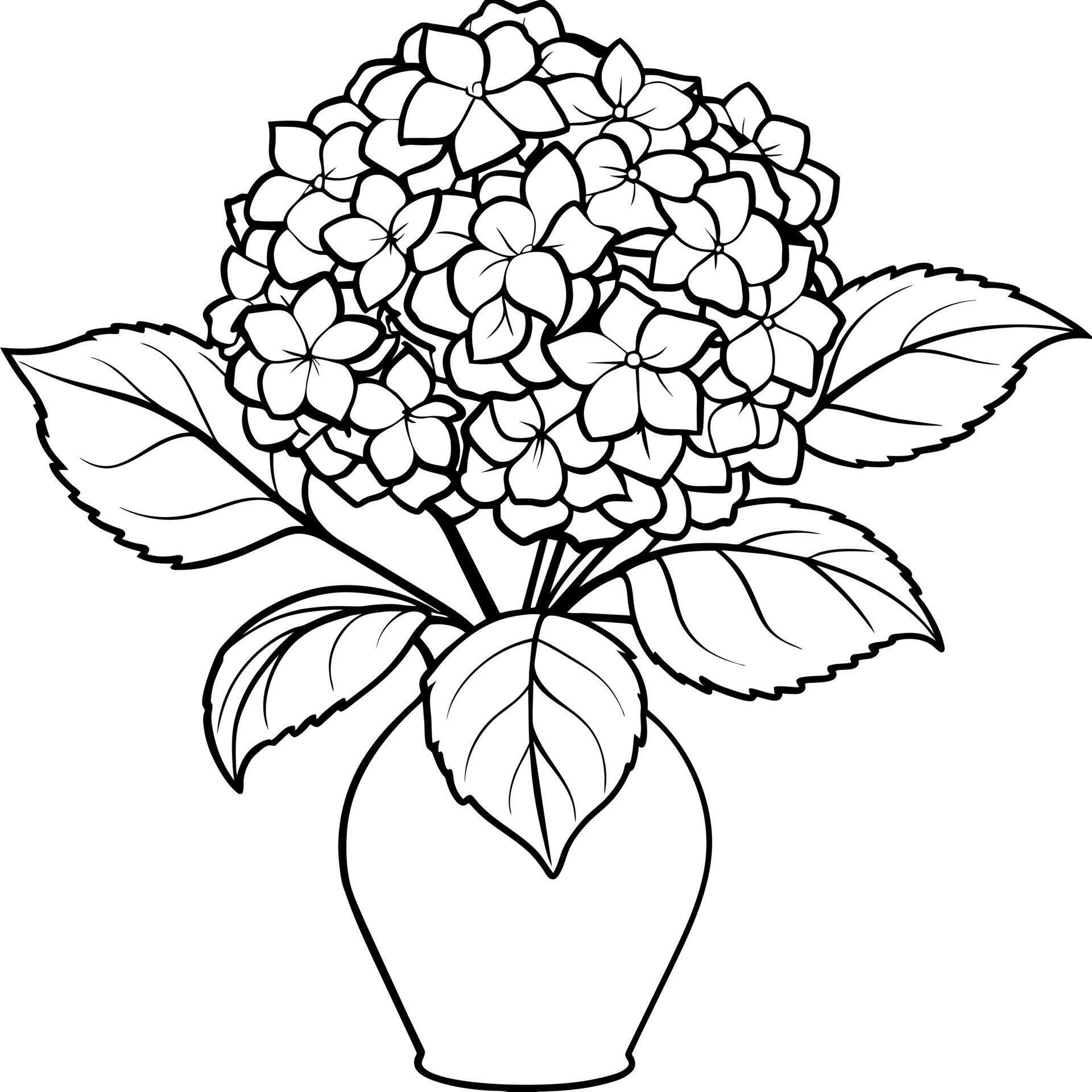 Hydrangea Flower On The Vase Outline Illustration Coloring Book Page