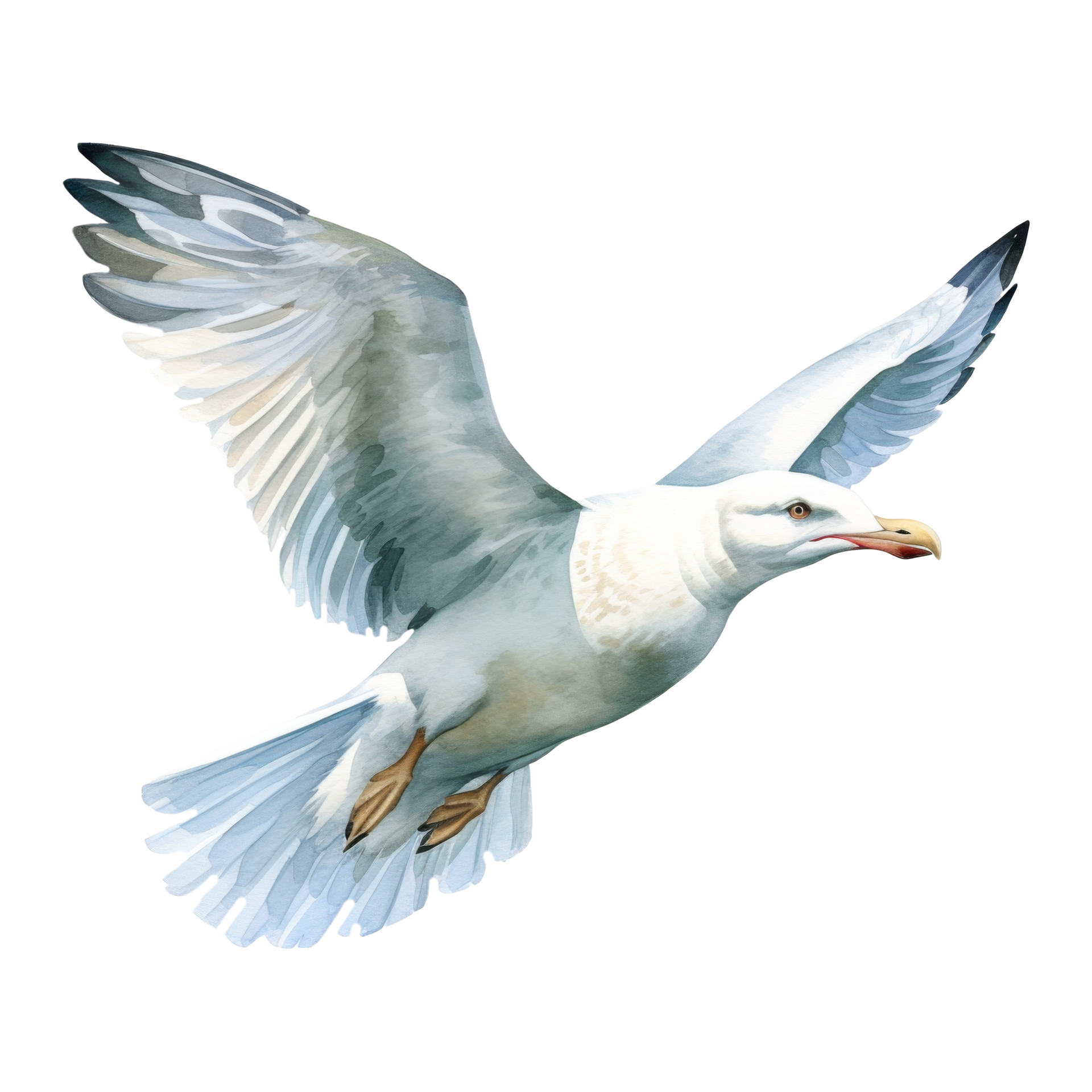 Seagull Isolated Detailed Watercolor Hand Drawn Painting Illustration ... Seagull Isolated Detailed Watercolor Hand Drawn Painting Illustration ...