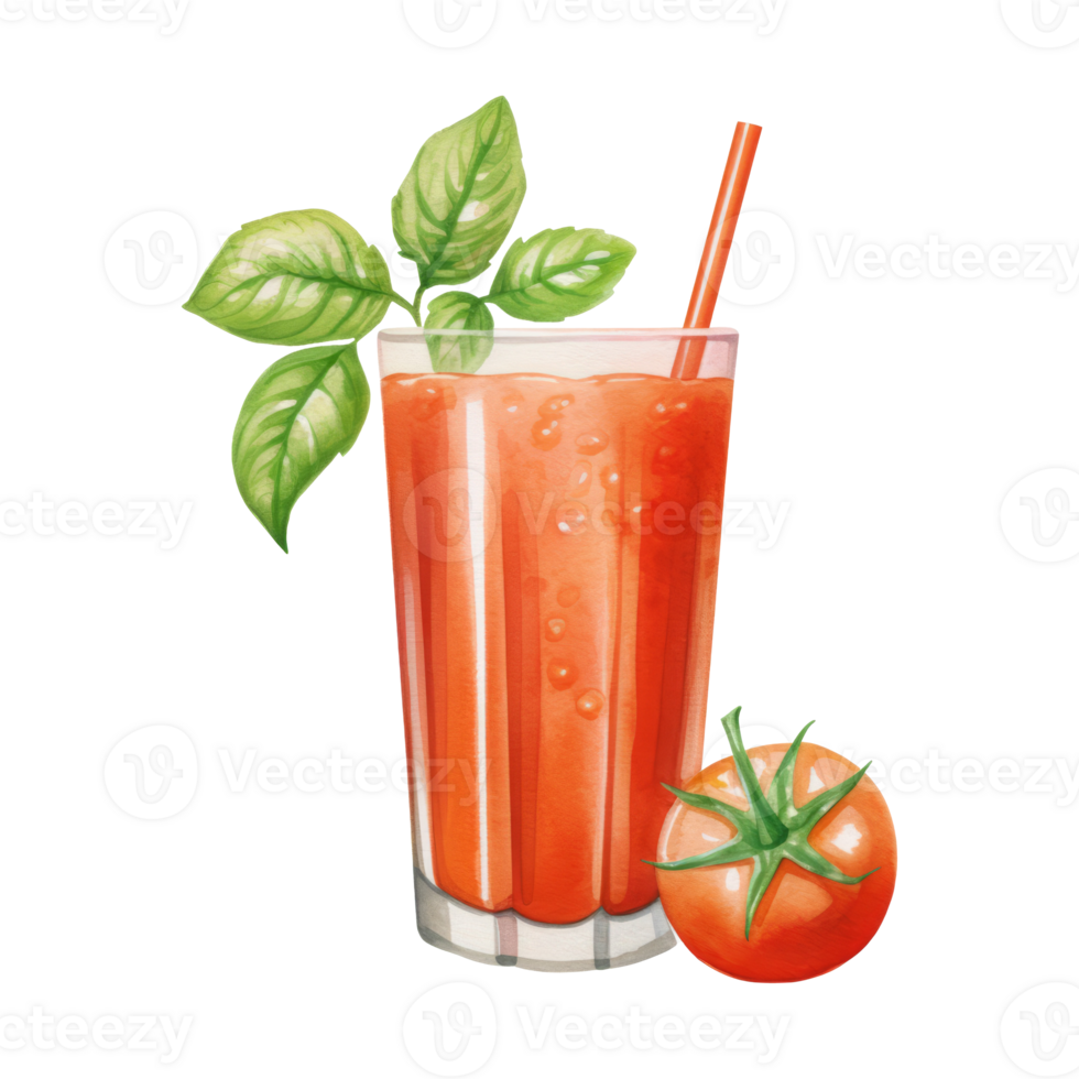 tomato juice Isolated Detailed Watercolor Hand Drawn Painting ...