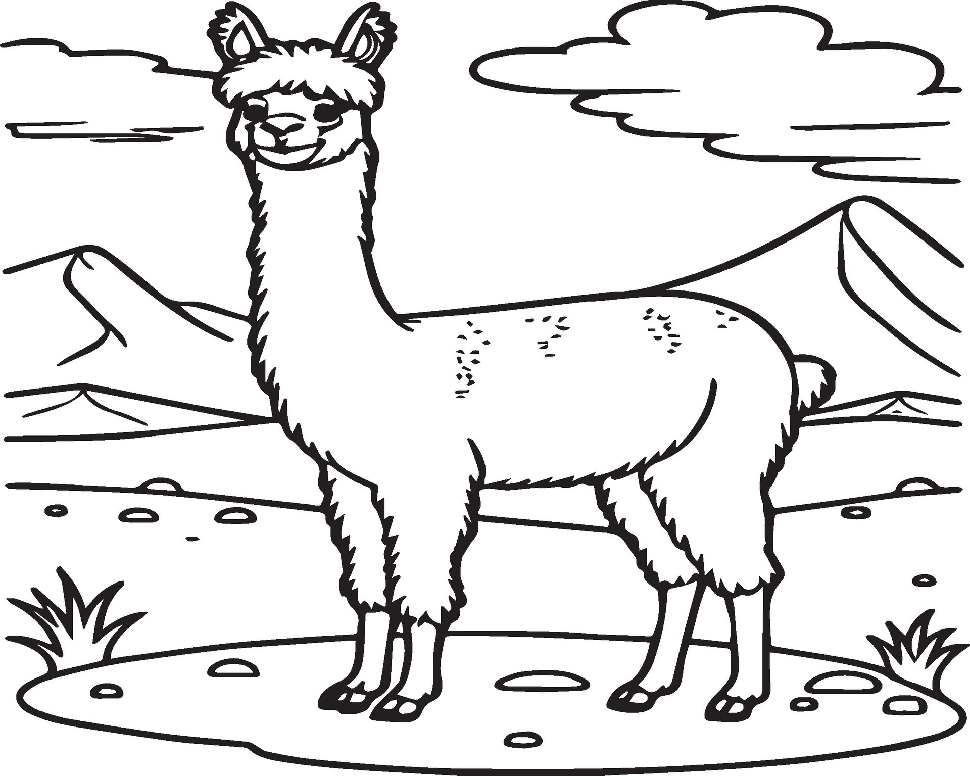 Alpaca coloring pages. Alpaca animal outline for coloring book. Animals ...
