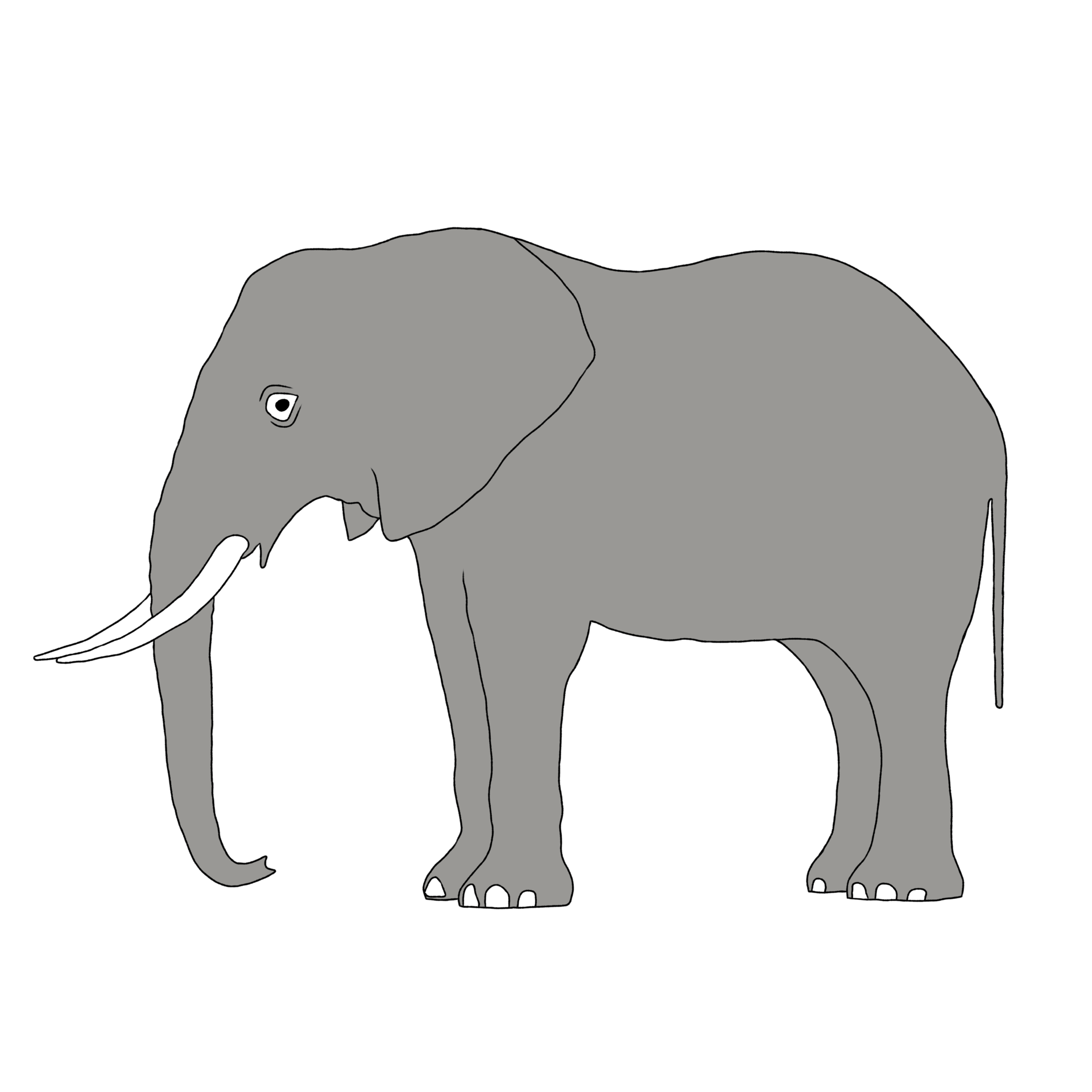 Elefante Contorno Elefante Dibujo Elefante Ilustración 44315219 Png