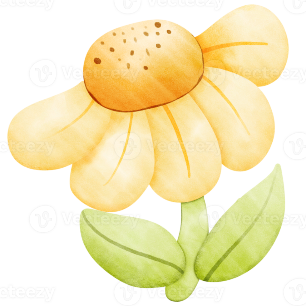 paint yellow brown Watercolor cute Sunflower 44427061 PNG