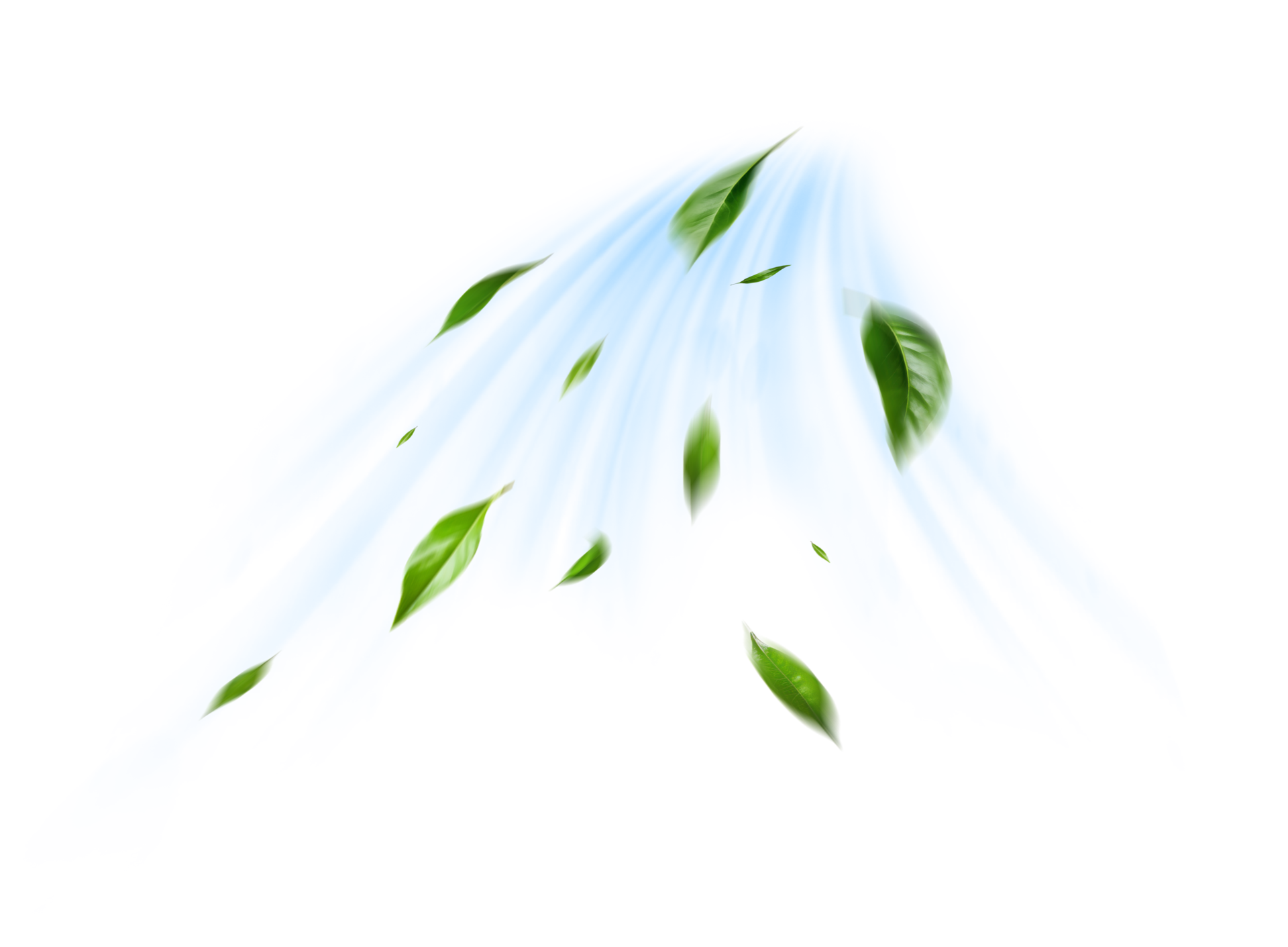 Green Floating Leaves Flying Leaves Green Leaf Dancing 44427743 PNG Green Floating Leaves Flying Leaves Green Leaf Dancing 44427743 PNG