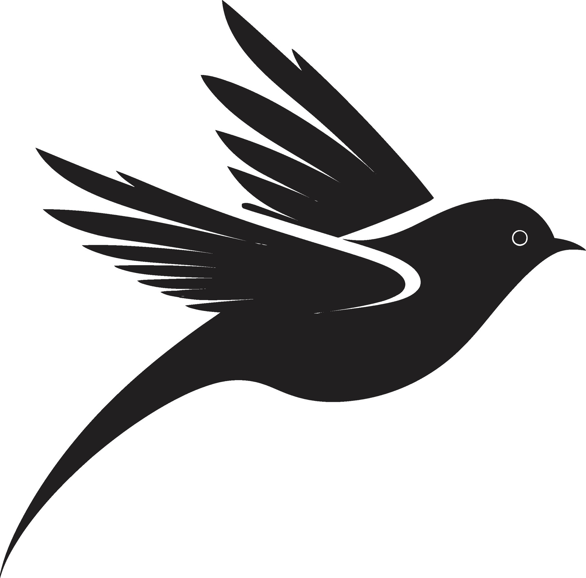 Majestic Flight Bird ic Skyward Symphony Cute Flying Bird 44433394 ...