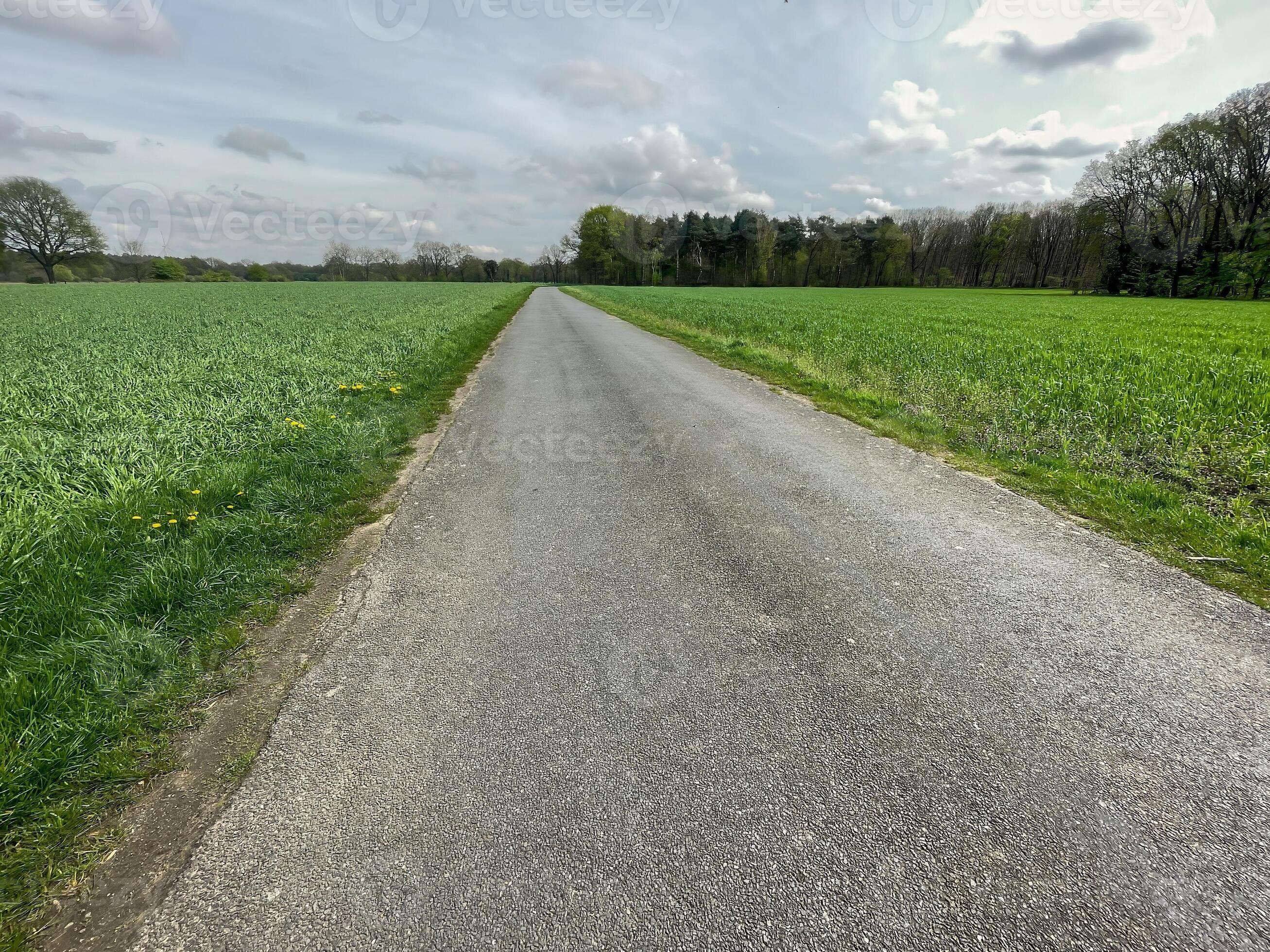empty path through fields and meadows 44441736 Stock Photo at Vecteezy