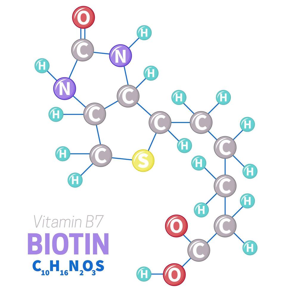 Biotin Vitamin B7 Molecule Structure Illustration 44569681 Vector Art ...