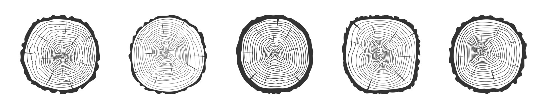 Tree Rings Icons Set Trunk Cross Section Surface Dendrochronology