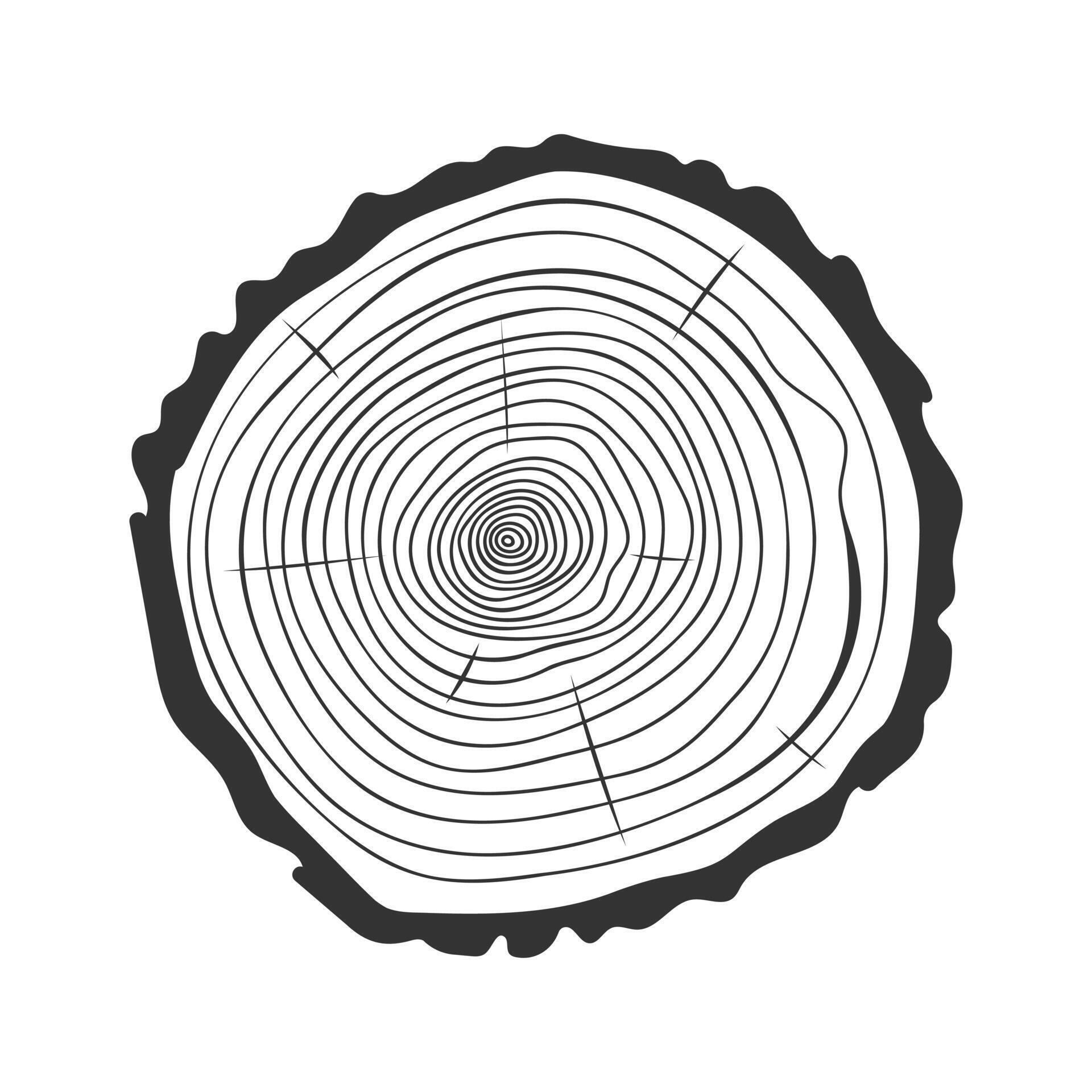 Tree Rings Icon Trunk Cross Section Outline Texture Dendrochronology