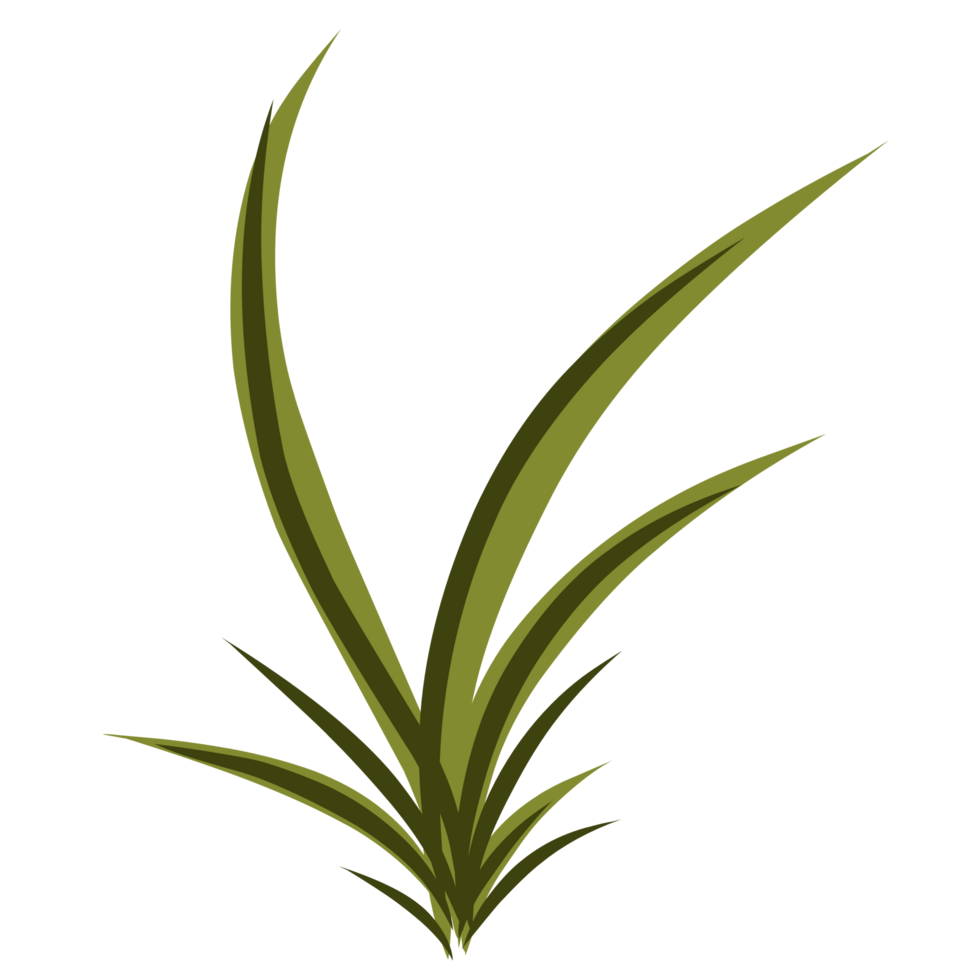 Green Grass Illustration 44622449 Png