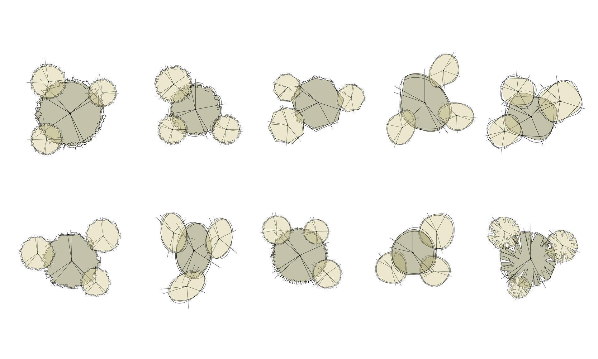tree top view plant landscape architecture nature garden aerial. trees ...
