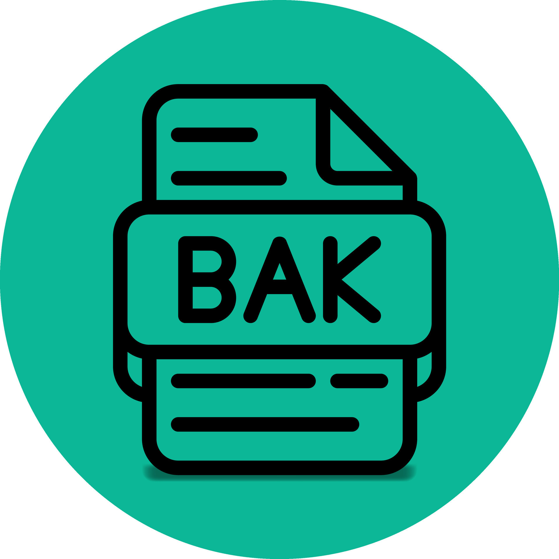 Bak File Type Icon Files And Document Format Extension With An