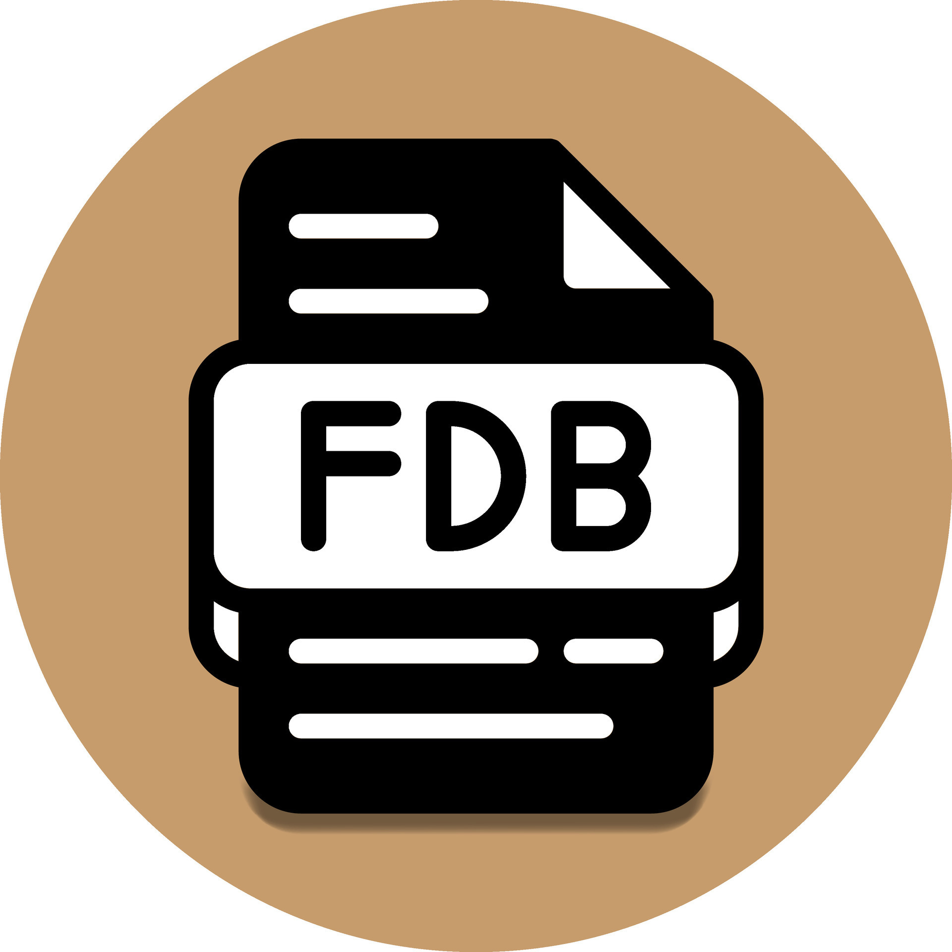 Fdb File Type Database Icon Document Files And Format Extension Symbol Icons With A Solid