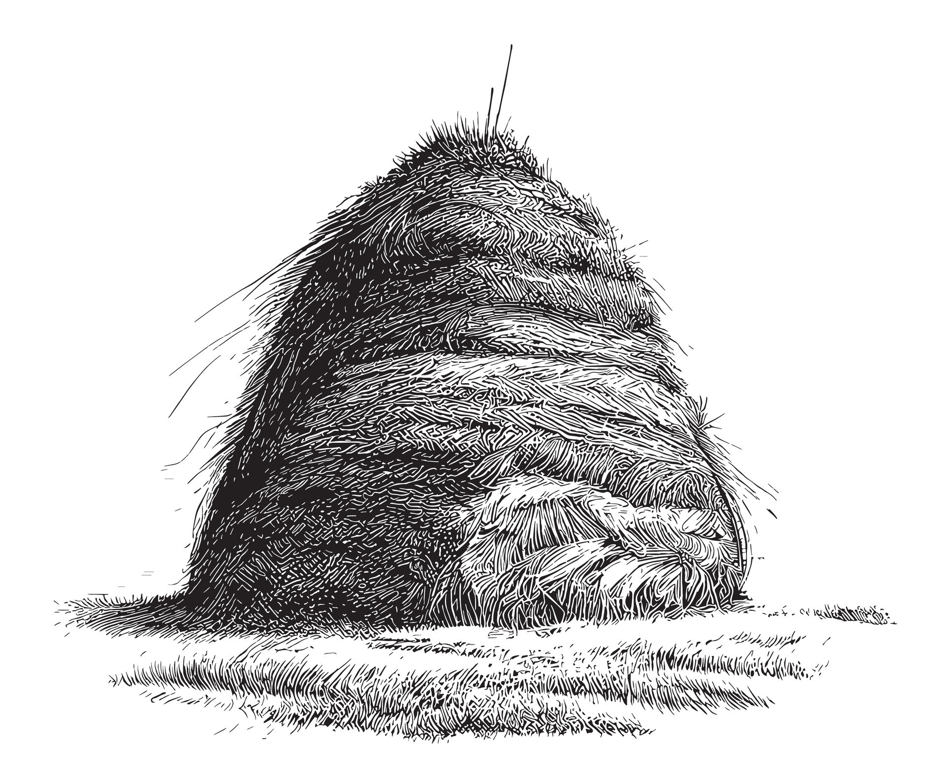 Haystack on thr field hand drawn sketch in graphic illustration ...