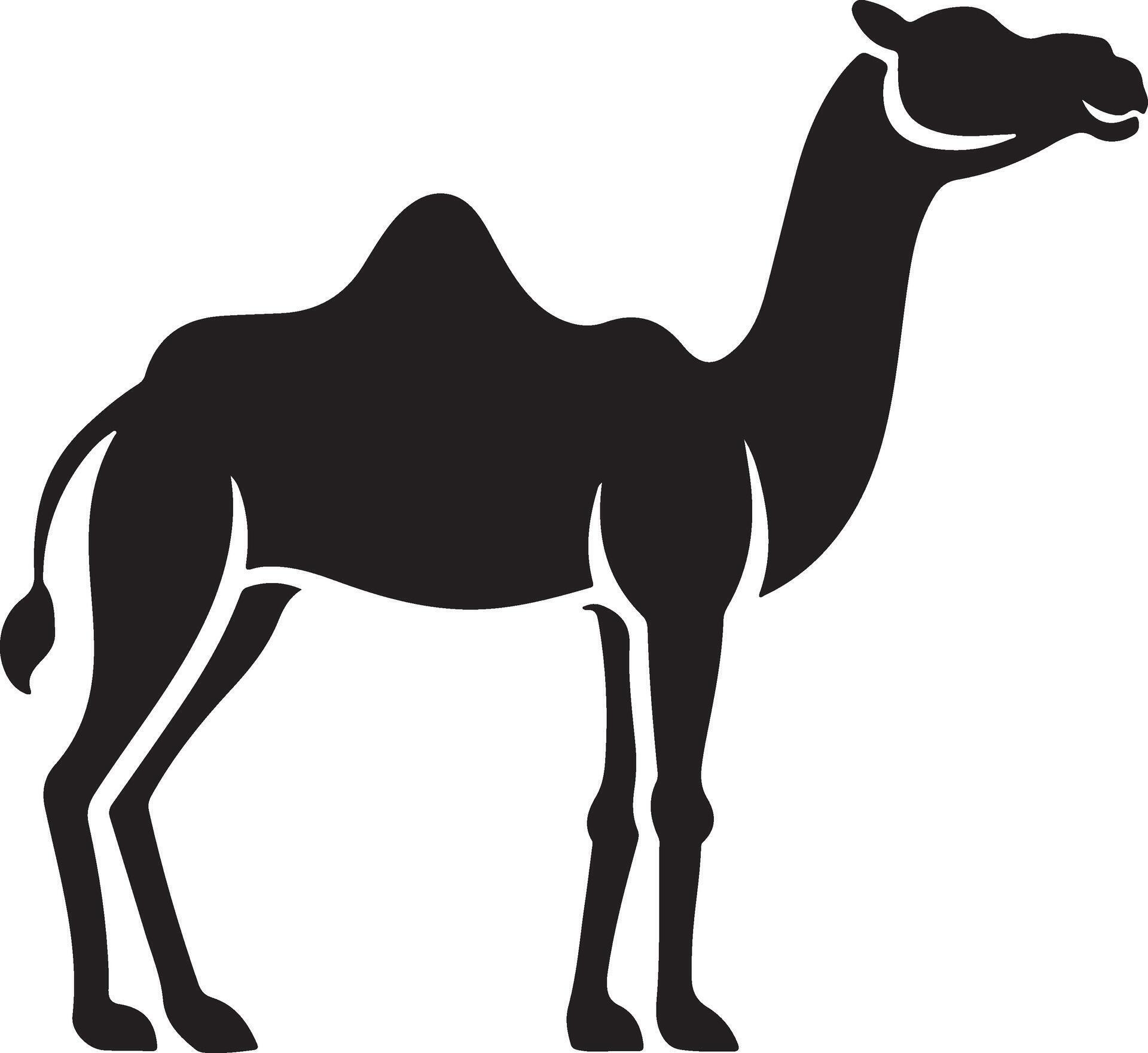 Flat design Camel silhouette,Camel graphic icon. Camel black sign ...