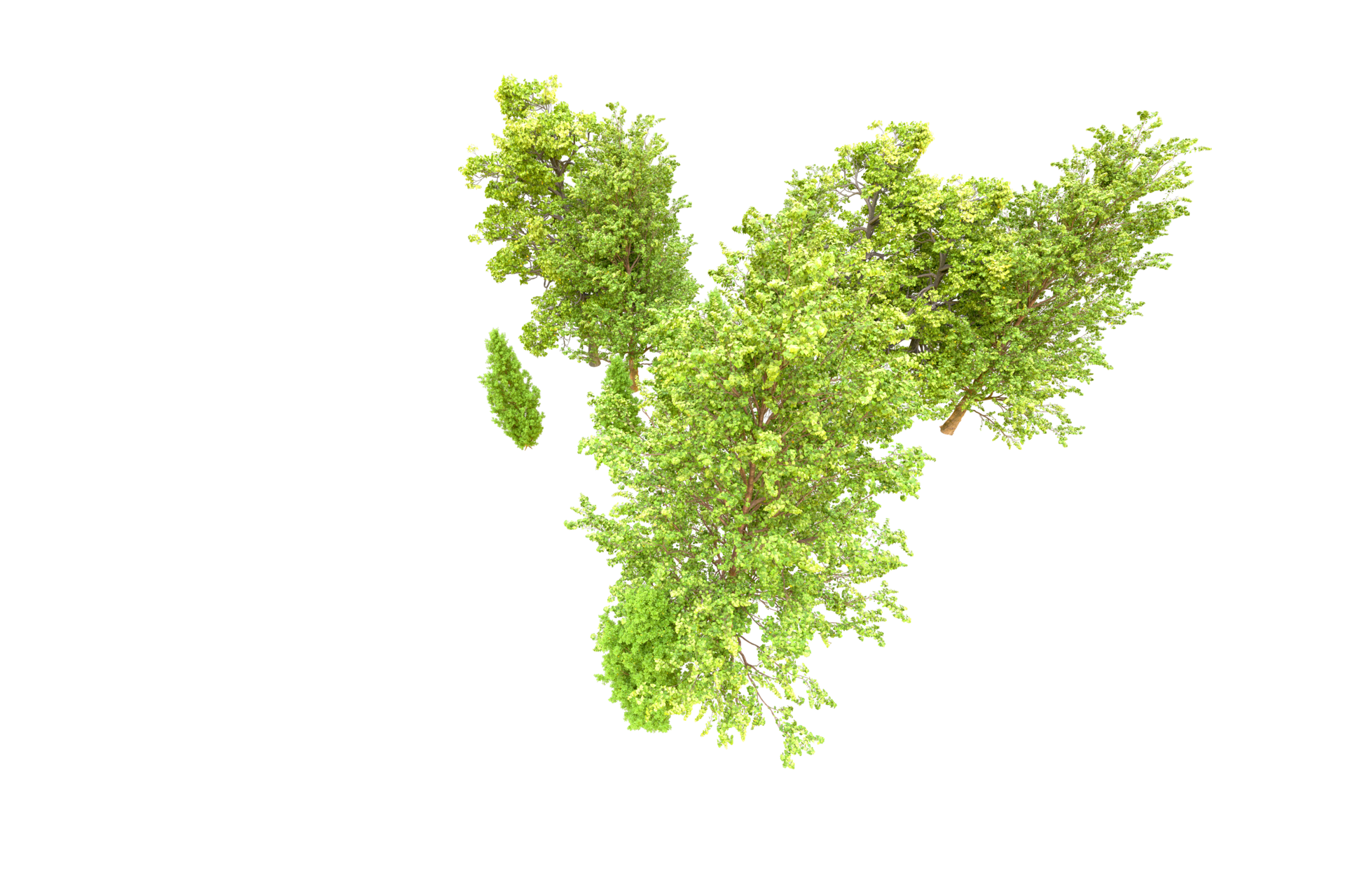 Green forest isolated on background. 3d rendering - illustration ... Green forest isolated on background. 3d rendering - illustration ...