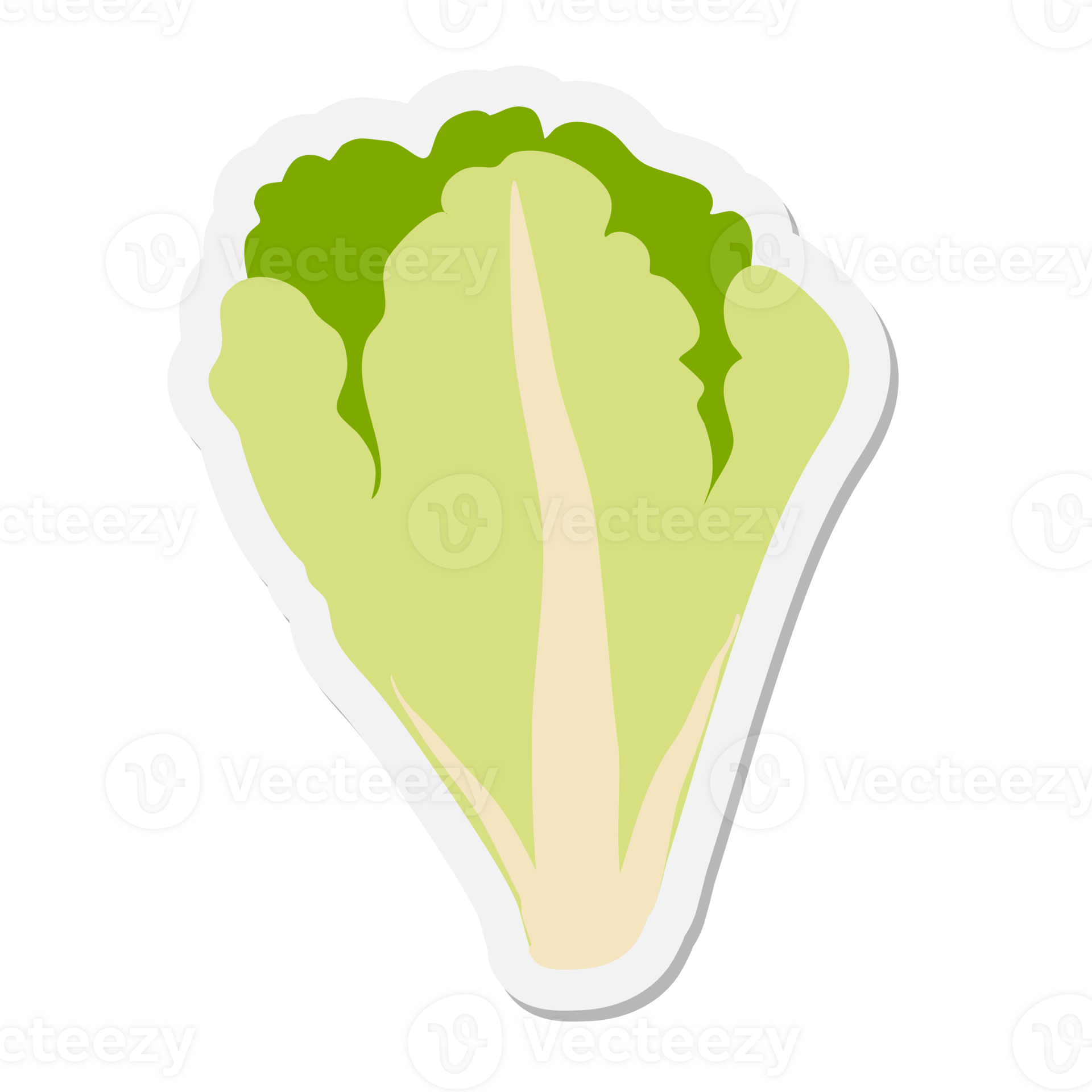 Lettuce leaves sticker 44951843 PNG Lettuce leaves sticker 44951843 PNG