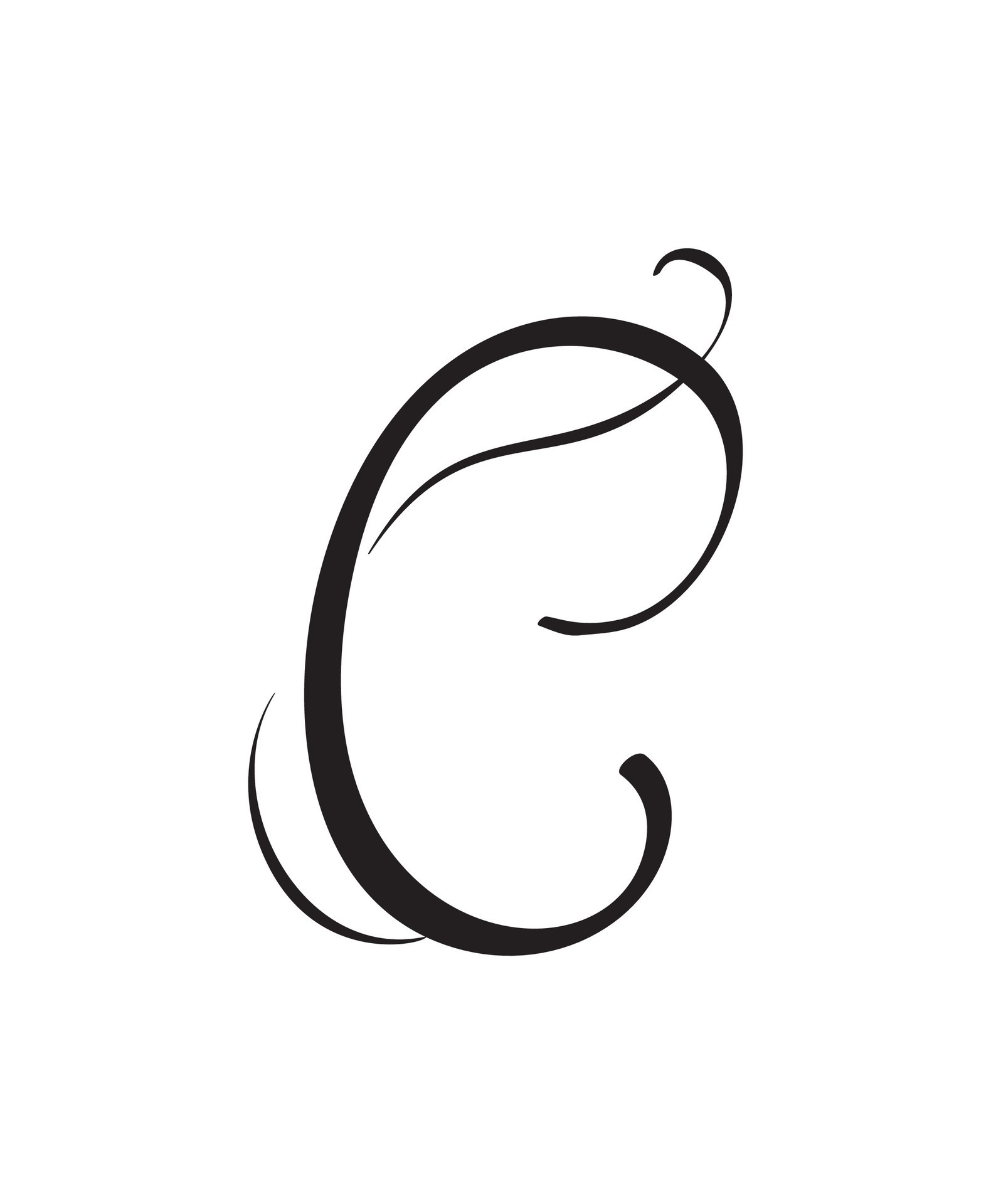 Hand Drawn Calligraphy Letter C Script Font Logo Handwritten Brush