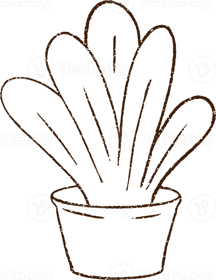 Houseplant Charcoal Drawing 45044318 Png