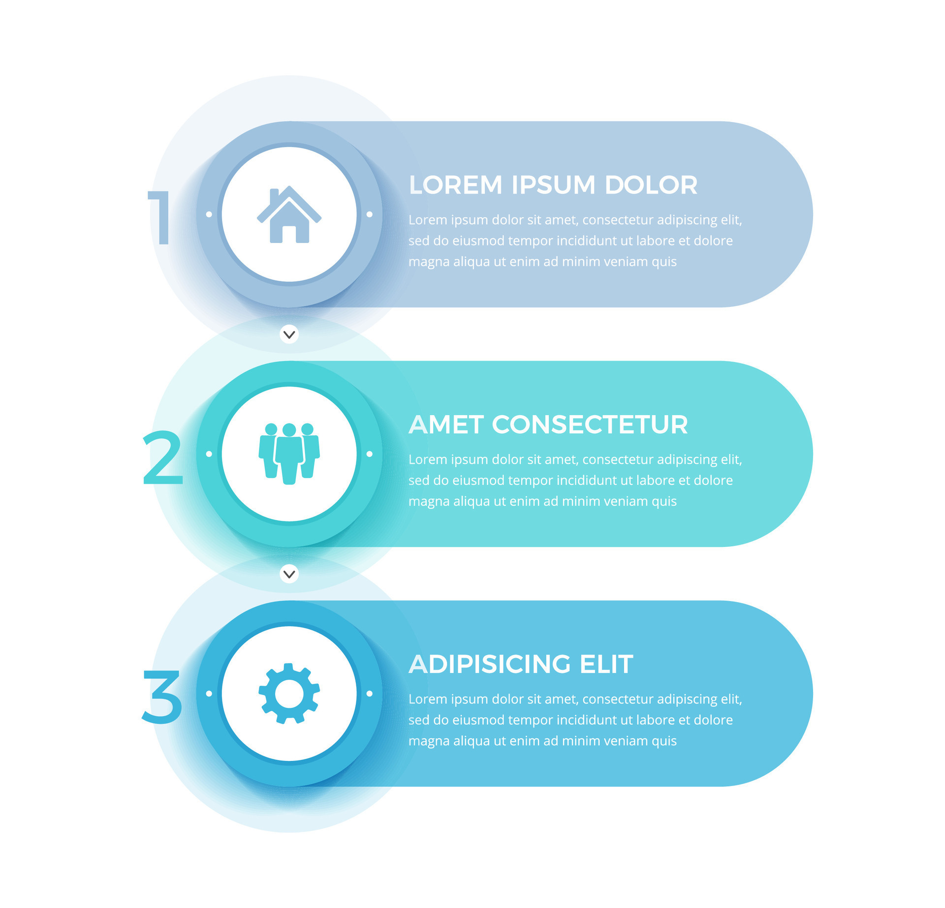 Infographic template with 3 steps, workflow, process chart 45117663 ...